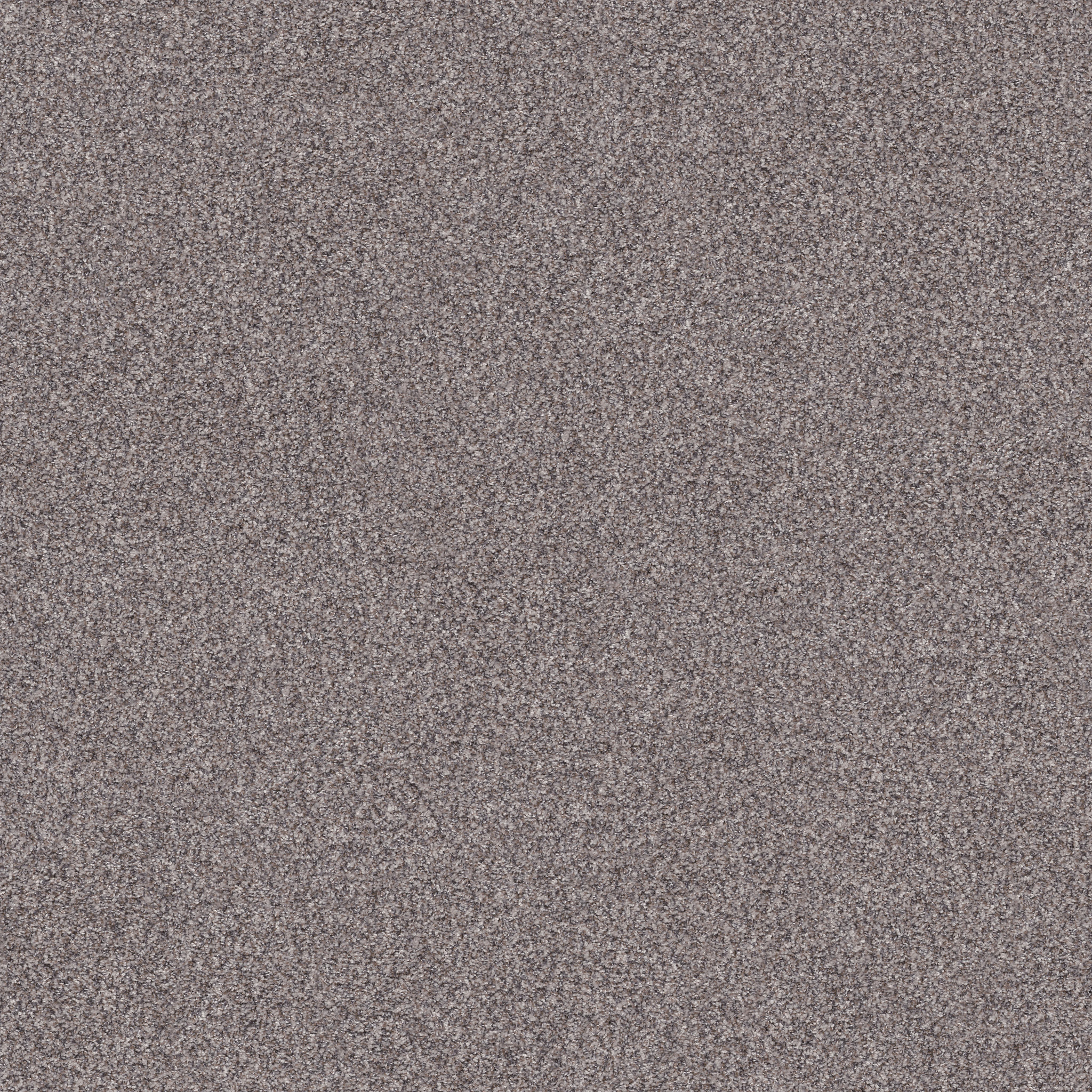 Inlet Shore Ii 12' - Stacked Wall Carpet | Shaw Floors