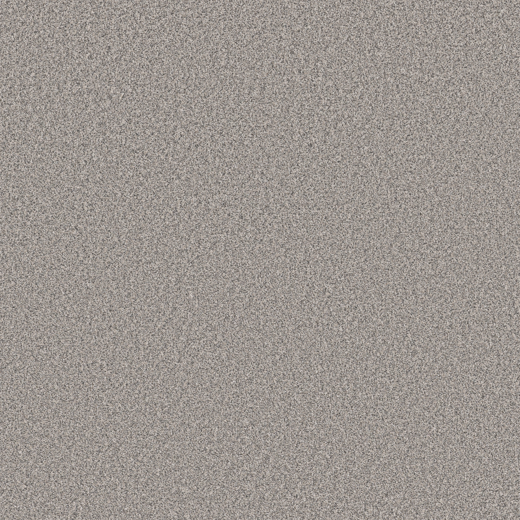 Affirmation Ii - 100% ANSO® High Performance Solution Dyed PET | Shaw ...