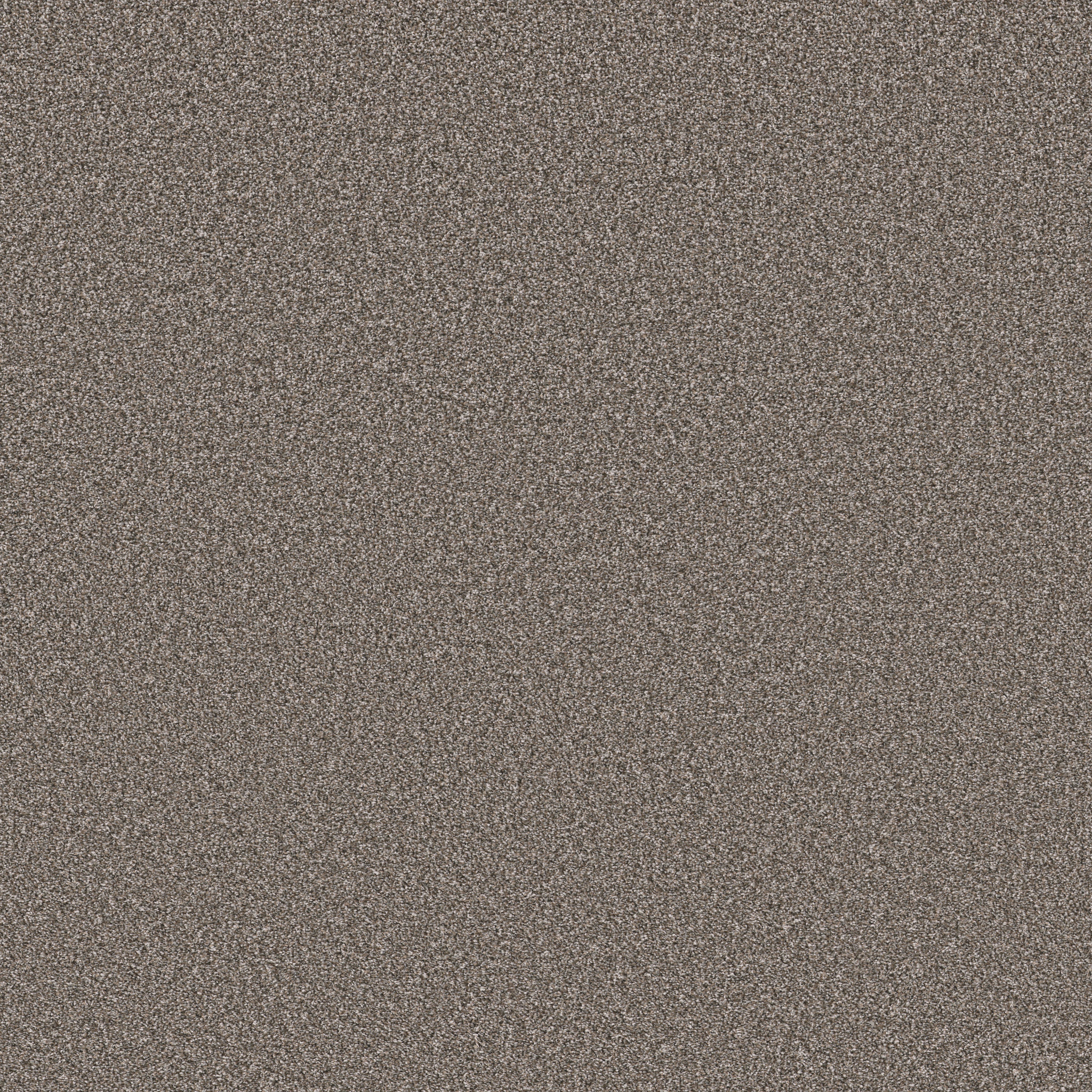 Affirmation Ii - 100% ANSO® High Performance Solution Dyed PET | Shaw ...