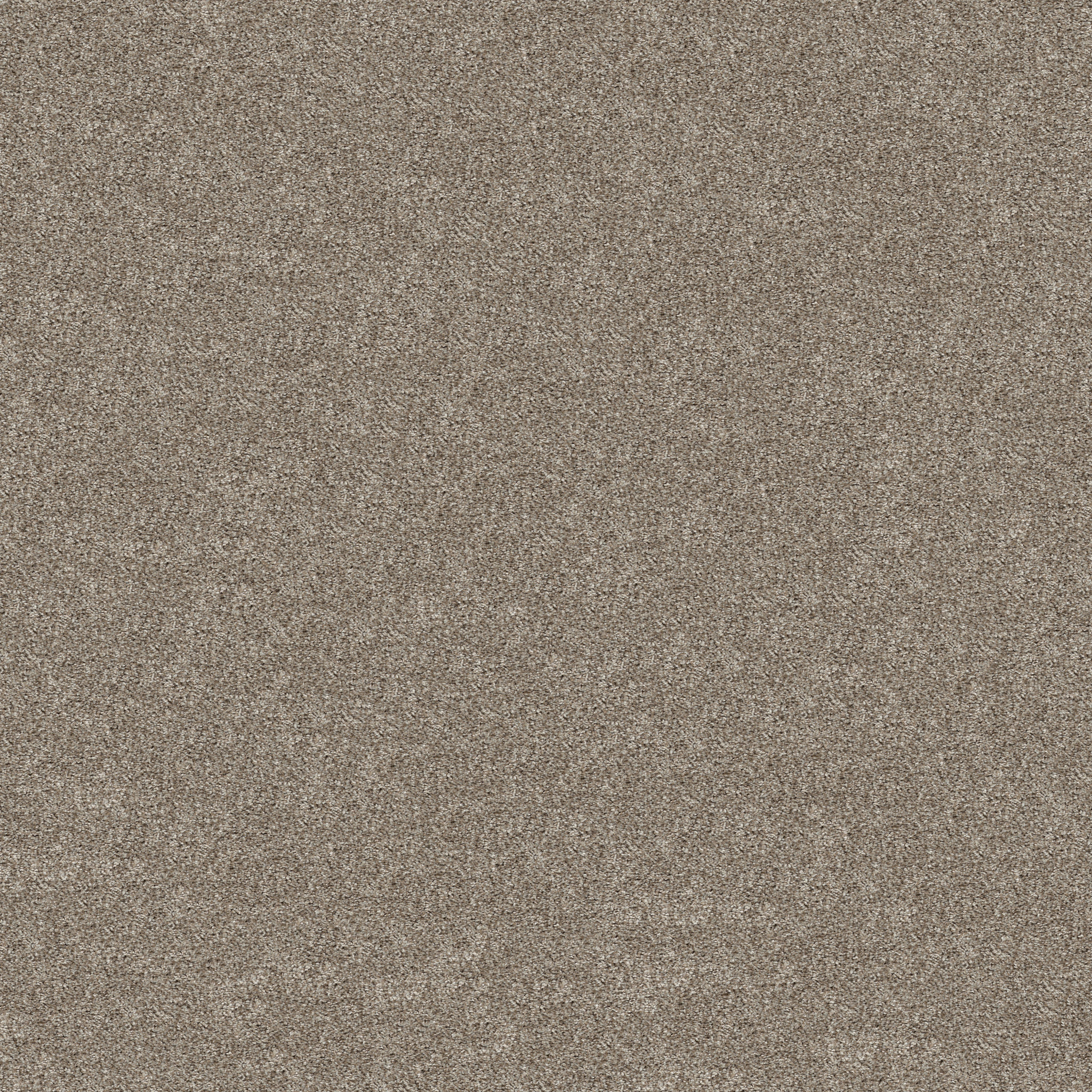 Grand Outlook - 100% ANSO® High Performance PET | Shaw Floors