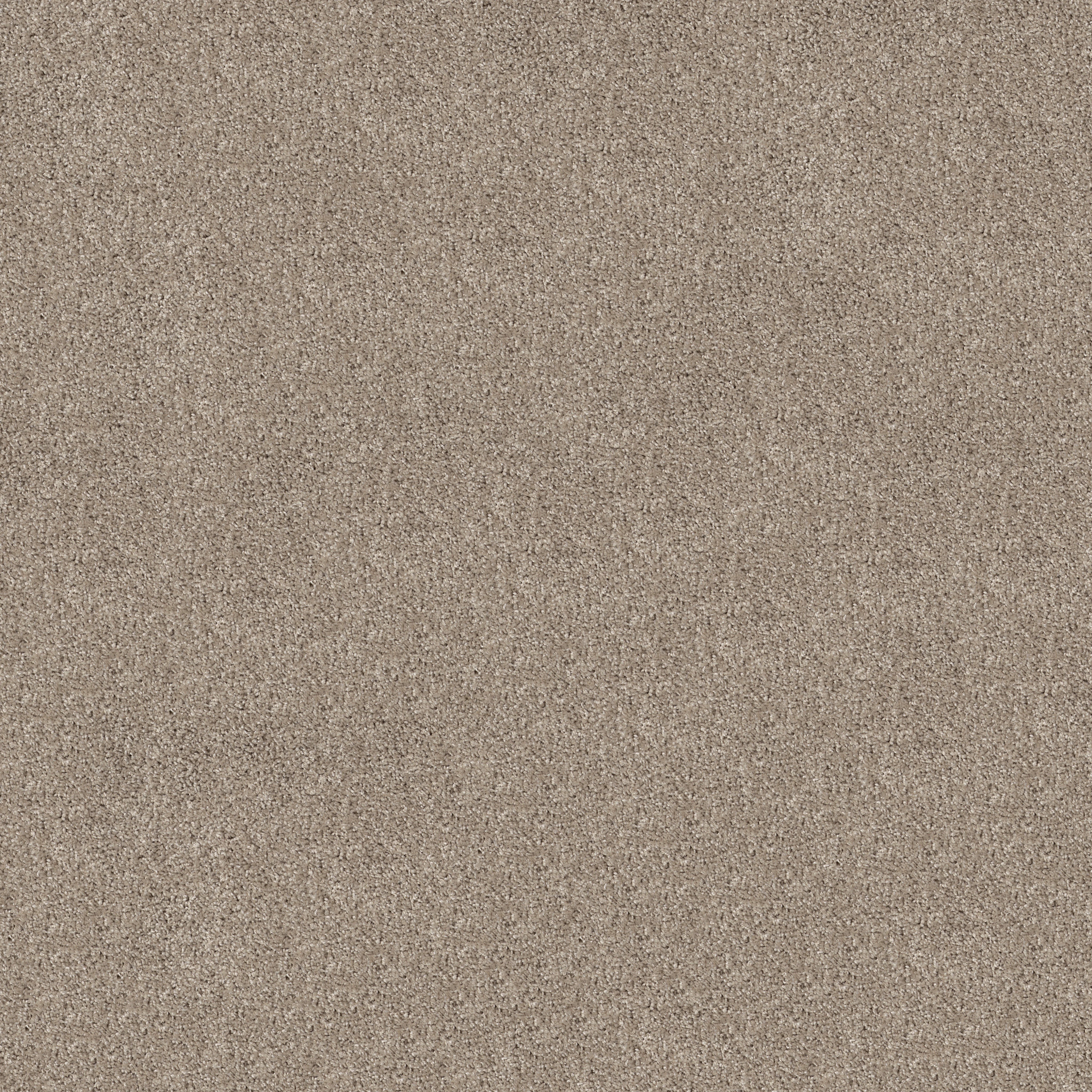 Grand Outlook - 100% ANSO® High Performance PET | Shaw Floors