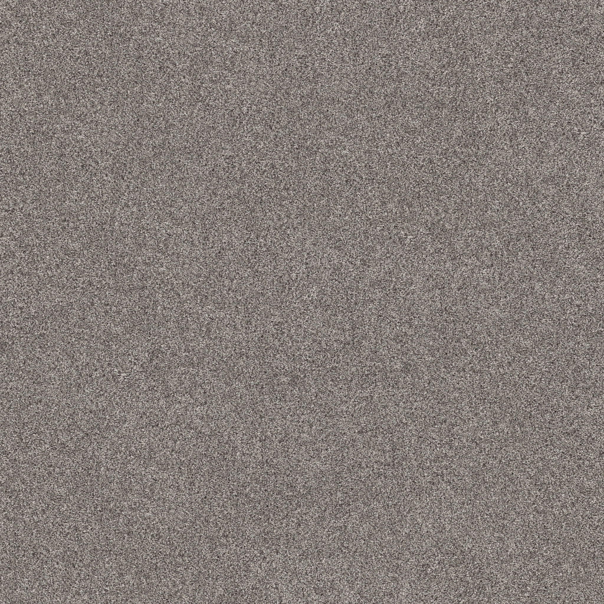 Grand Outlook - 100% ANSO® High Performance PET | Shaw Floors