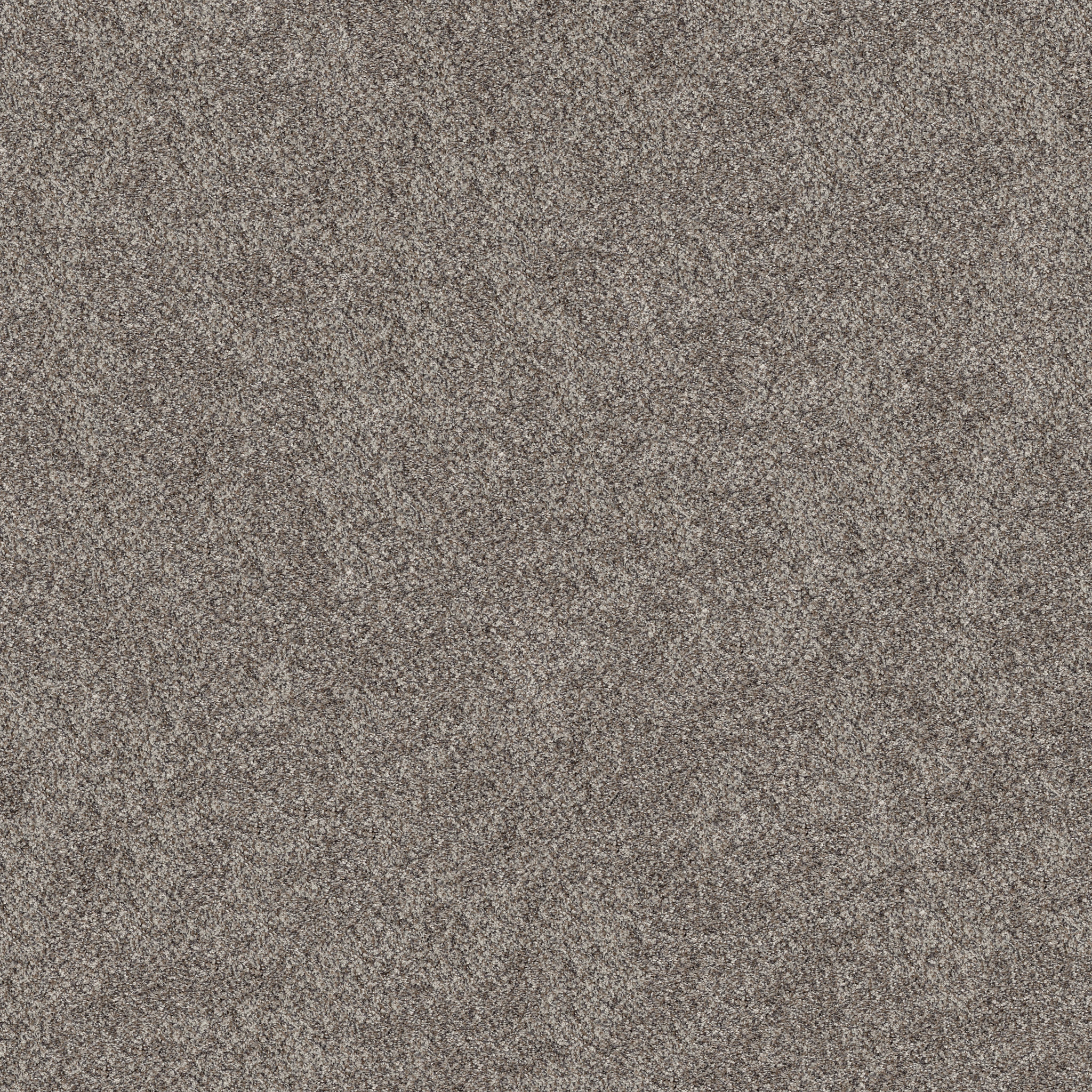 Grand Outlook - 100% ANSO® High Performance PET | Shaw Floors