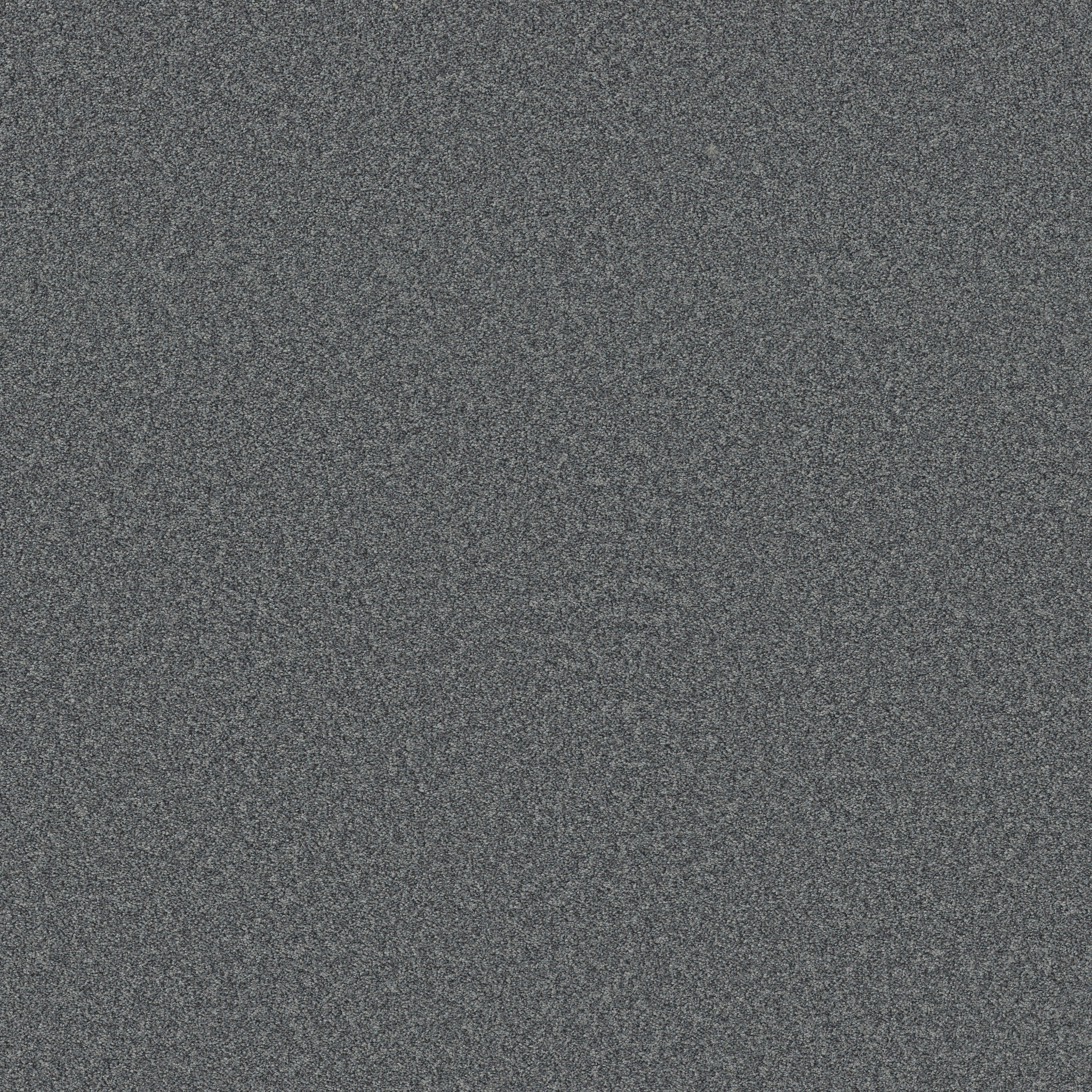 Del Rio Ii - 100% ANSO® High Performance Nylon | Shaw Floors