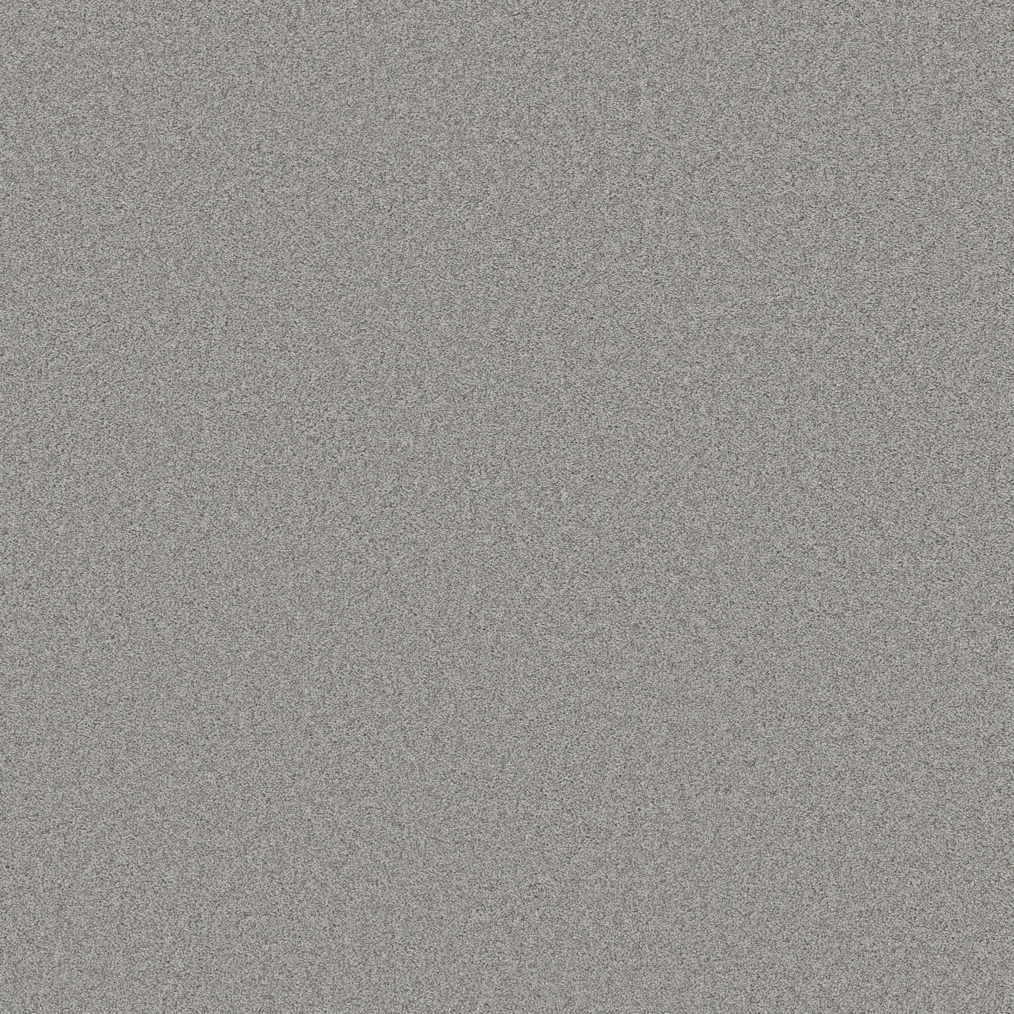 Del Rio Ii - Sentimental Carpet | Shaw Floors