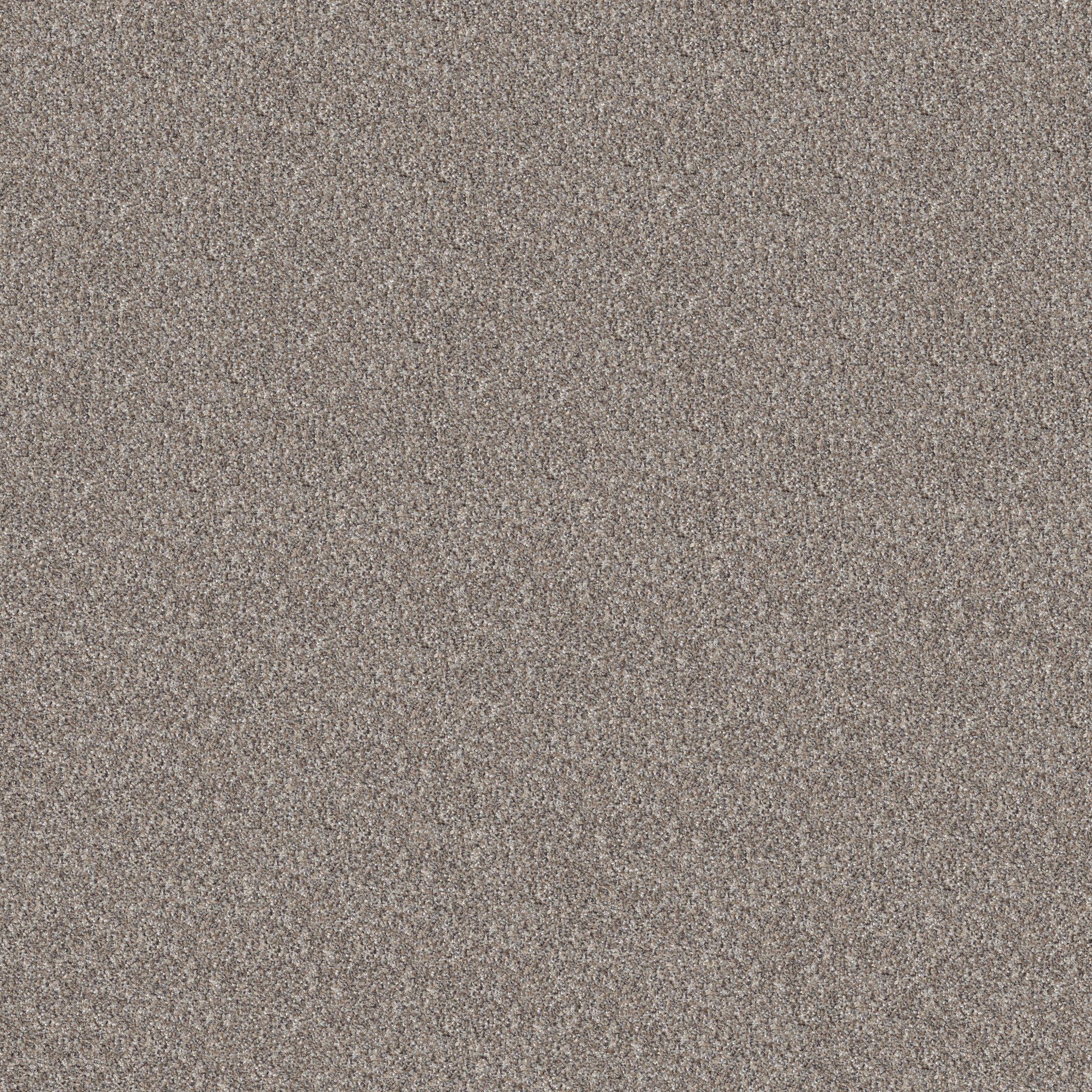 Elevated Ii - Perfection Carpet | Shaw Floors