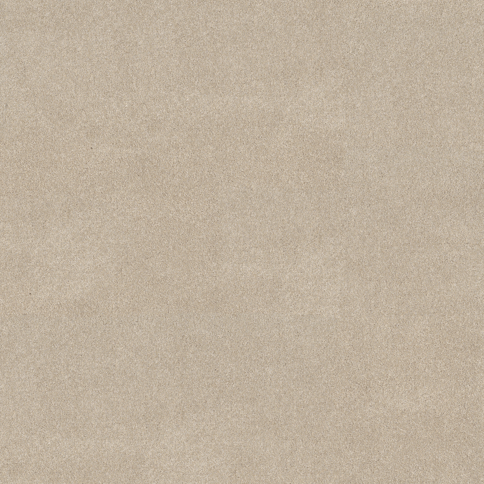 Vivid Touch I - 100% ANSO® High Performance Solution Dyed PET | Shaw Floors