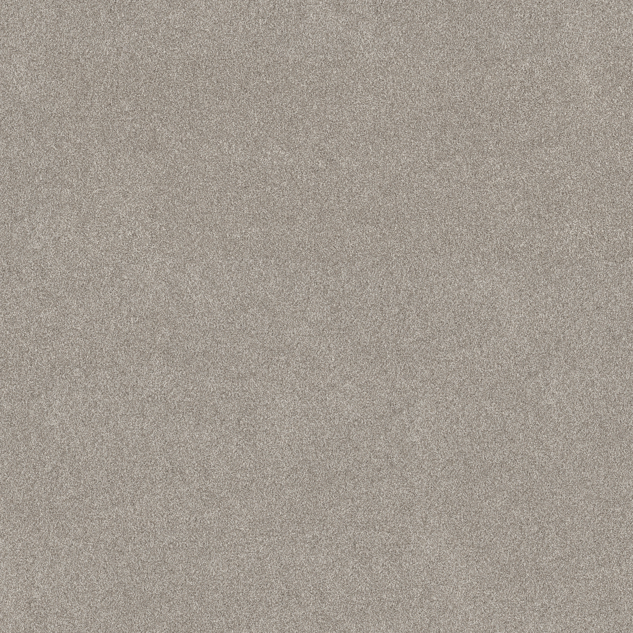 Vivid Touch Ii - Marble Carpet | Shaw Floors