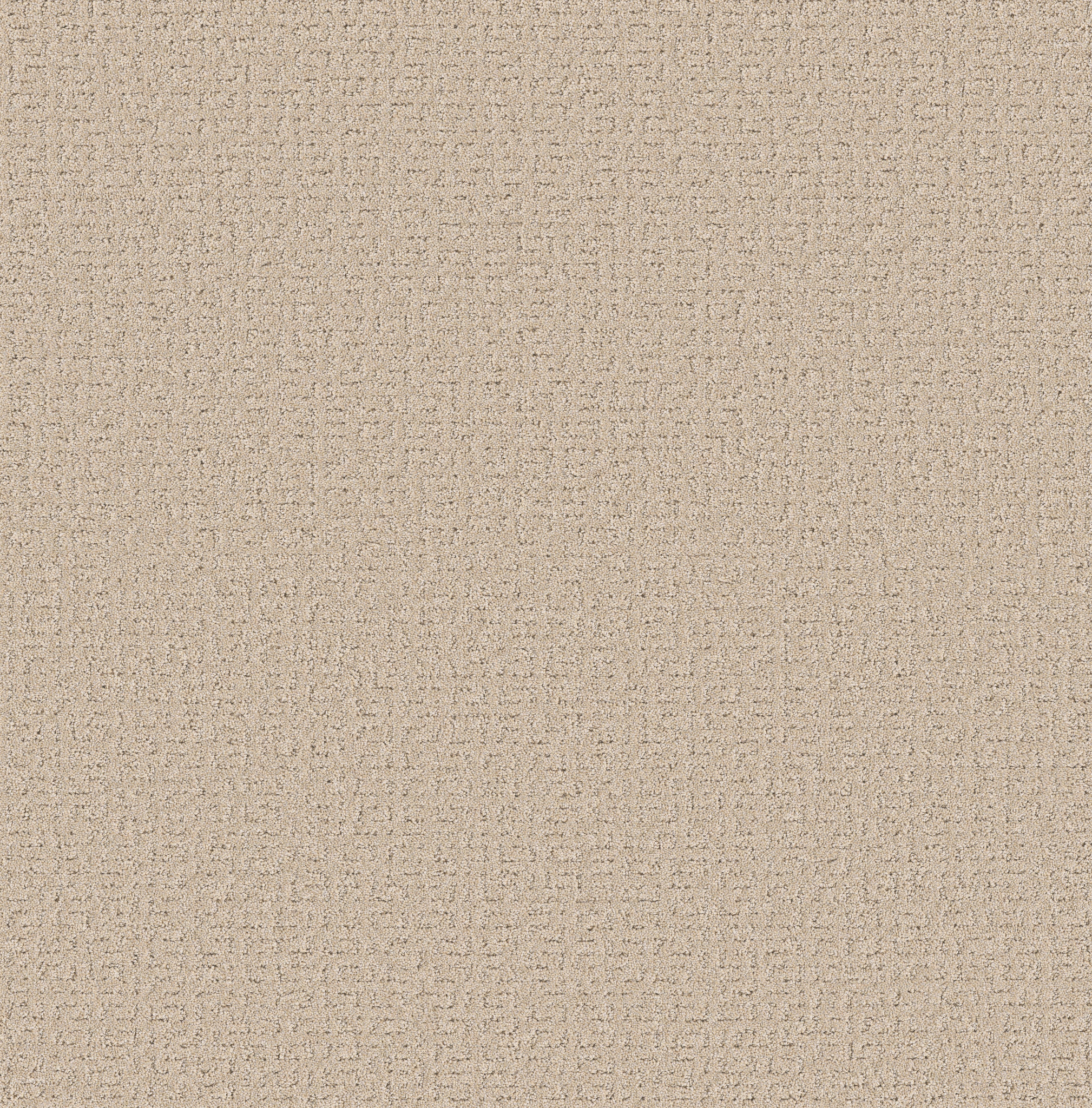 Secret Journey - 100% ANSO® High Performance Solution Dyed PET | Shaw ...