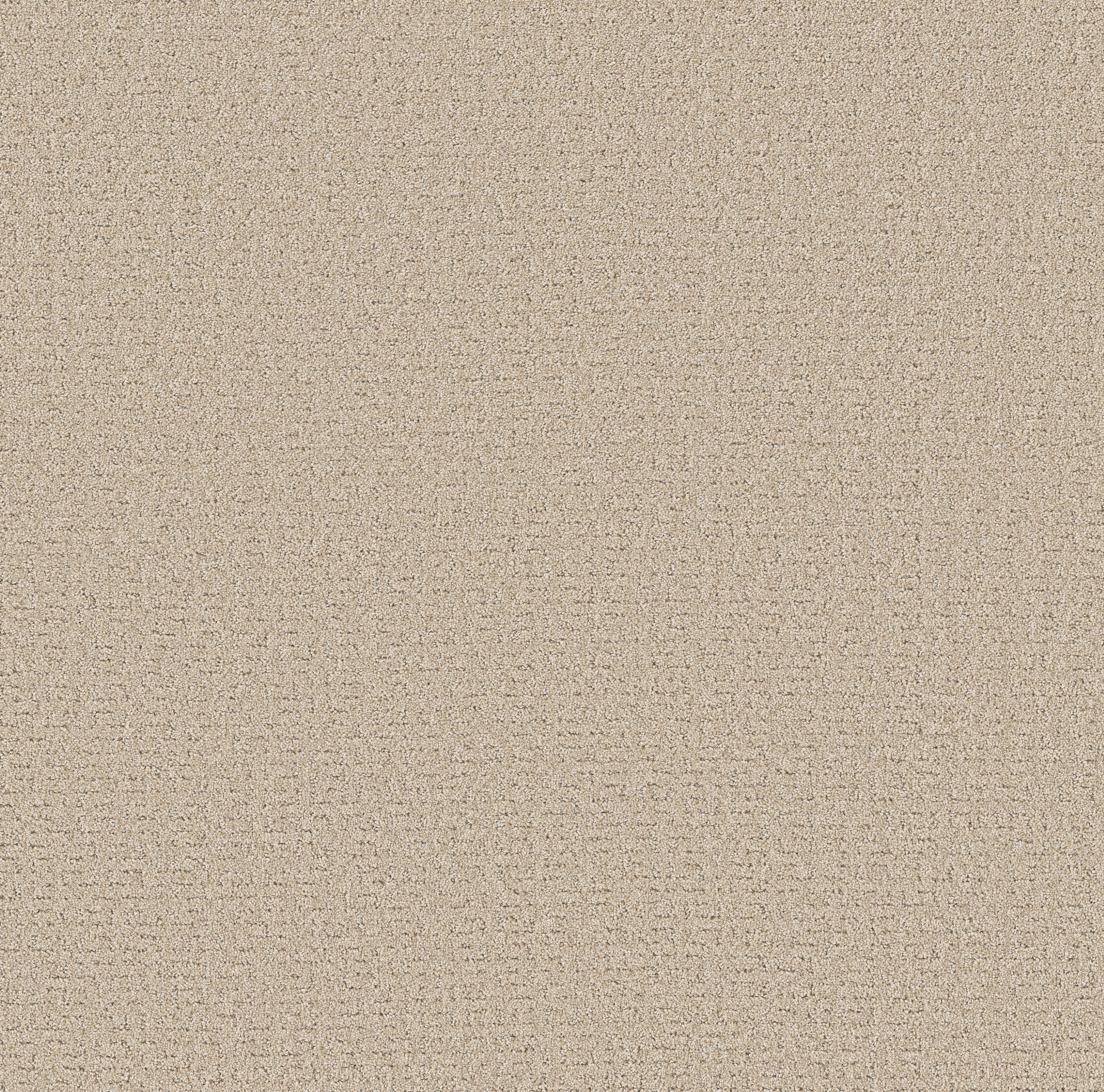 Secret Journey - 100% ANSO® High Performance Solution Dyed PET | Shaw ...