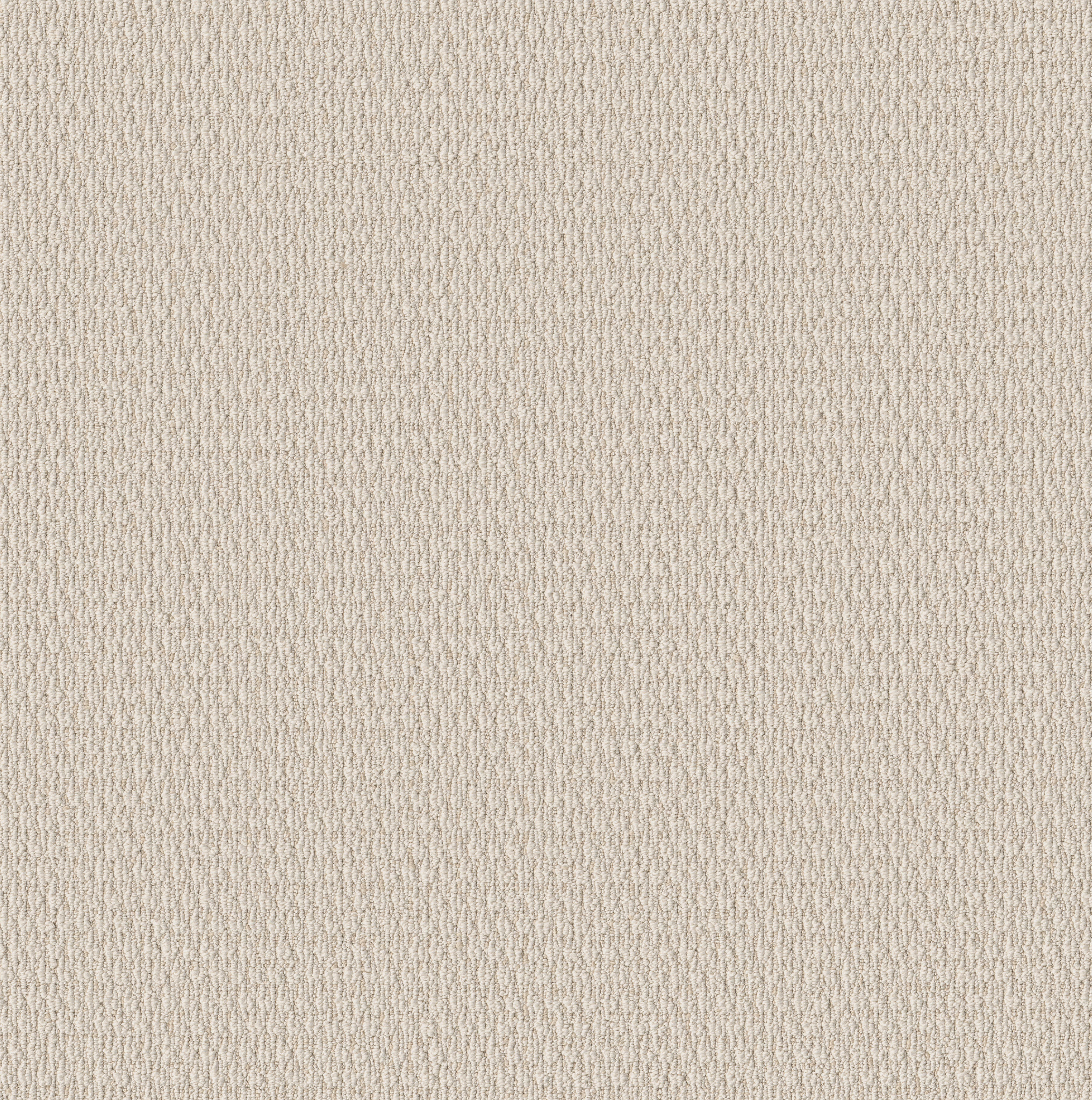 Cozy Embrace - Wool Blanket Carpet | Shaw Floors