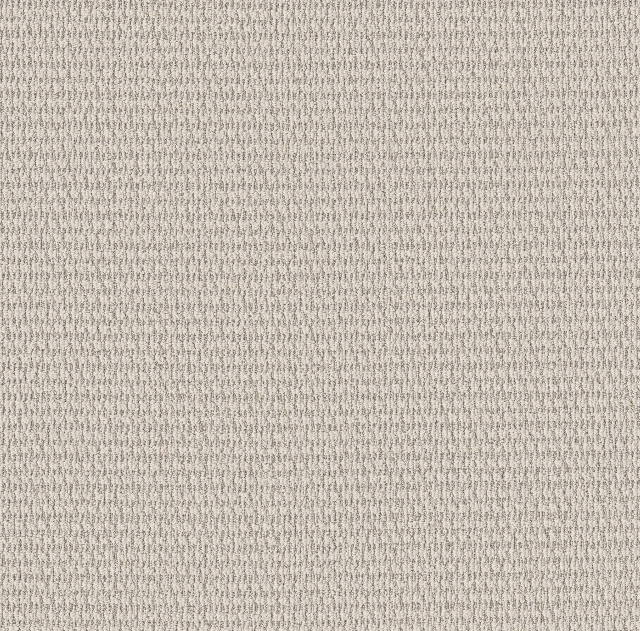 Cozy Embrace - Wool Blanket Carpet | Shaw Floors