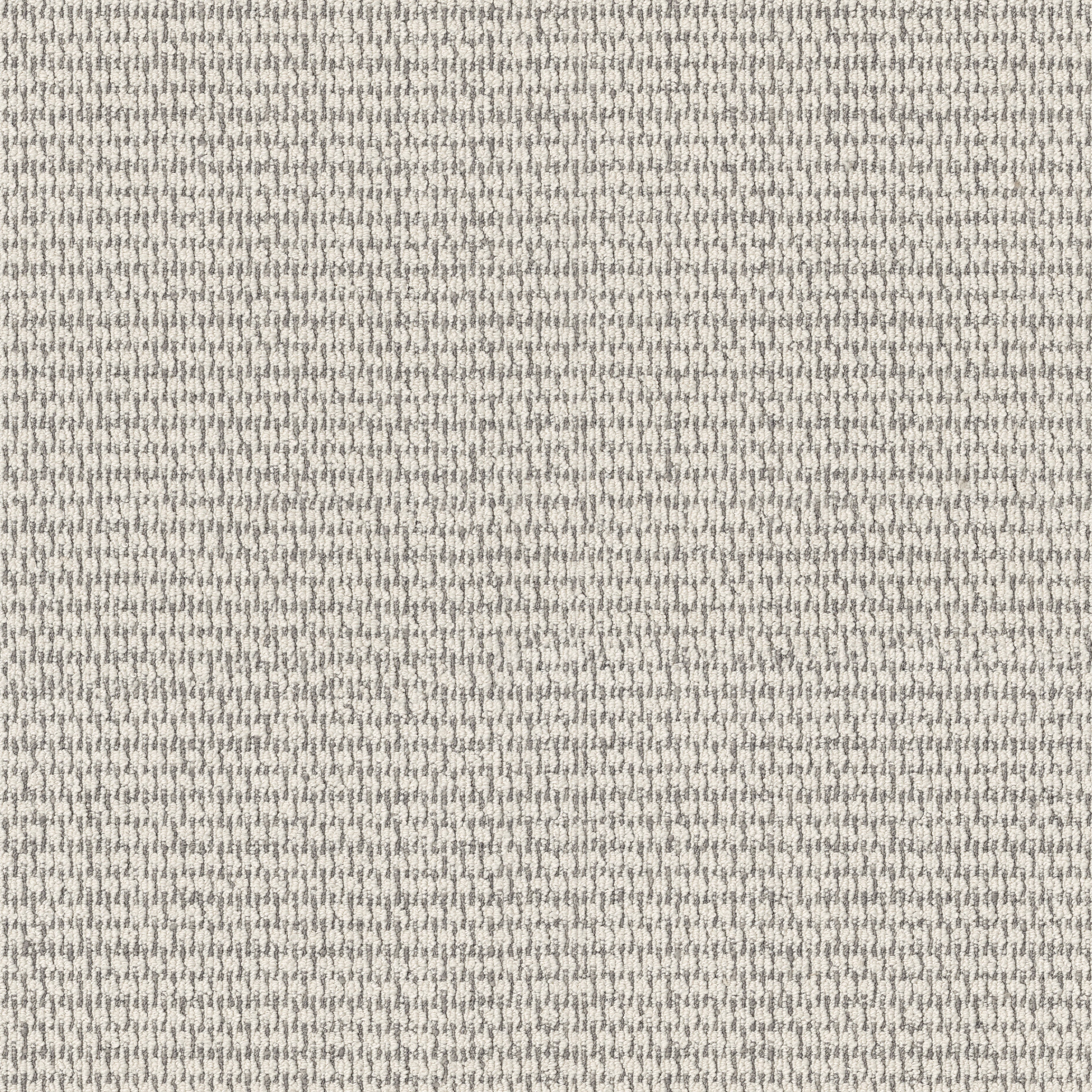 Cozy Embrace - Wool Blanket Carpet | Shaw Floors