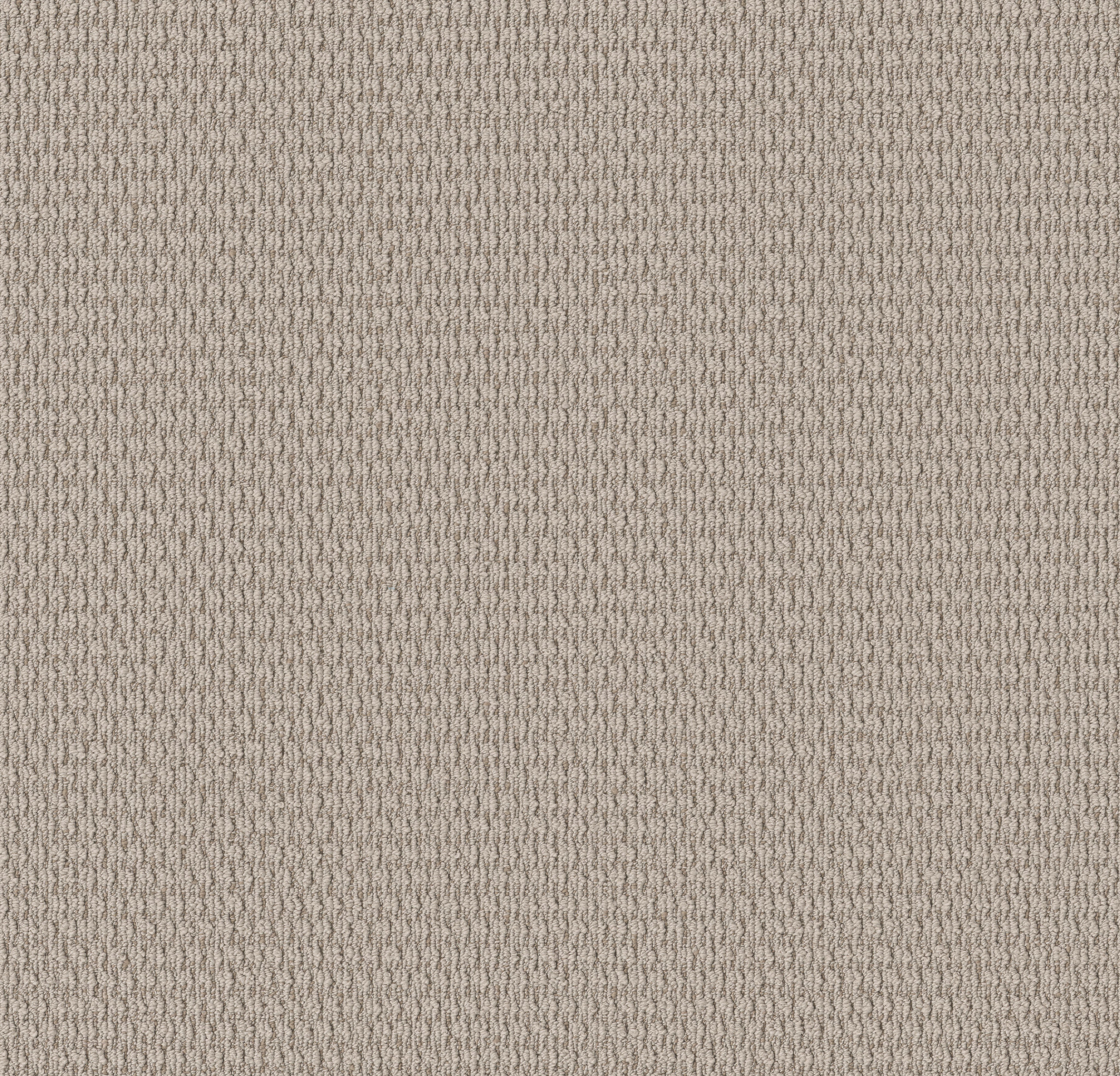 Cozy Embrace - Wool Blanket Carpet | Shaw Floors