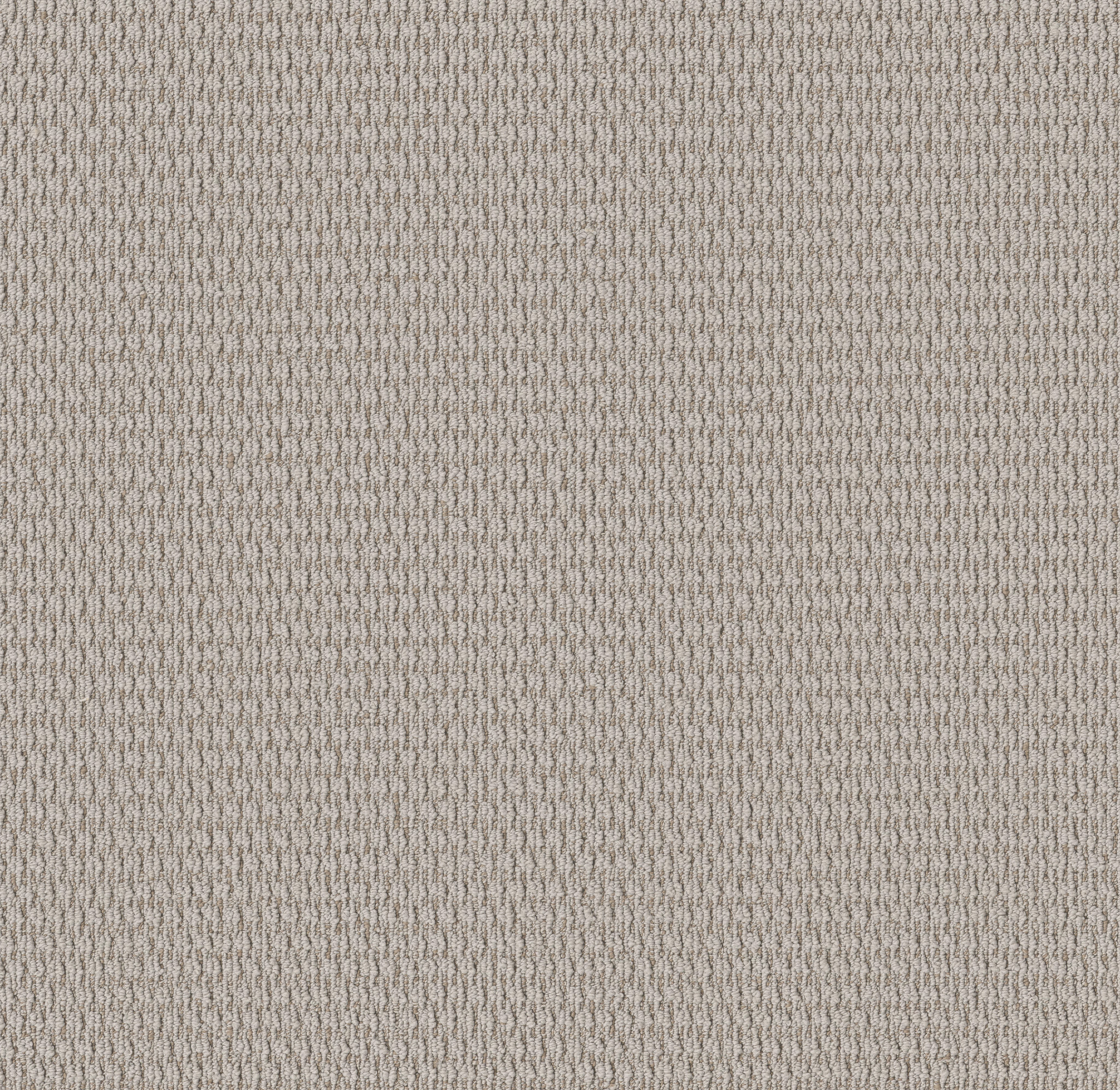 Cozy Embrace - Wool Blanket Carpet | Shaw Floors