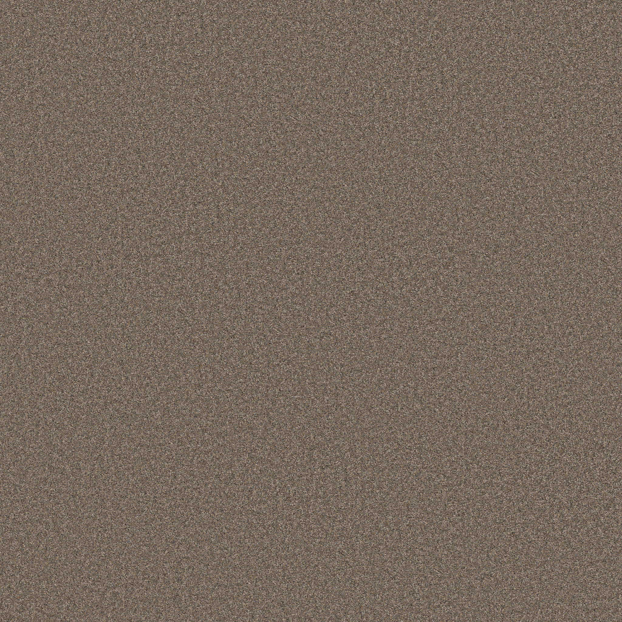Wonderland Ii - Smoked Tan Carpet | Shaw Floors