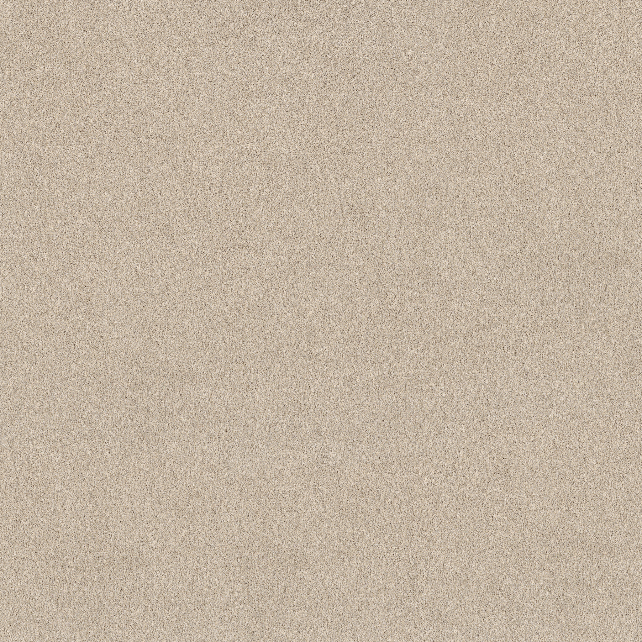 Pure Affection T - 100% ANSO® High Performance Solution Dyed PET | Shaw ...