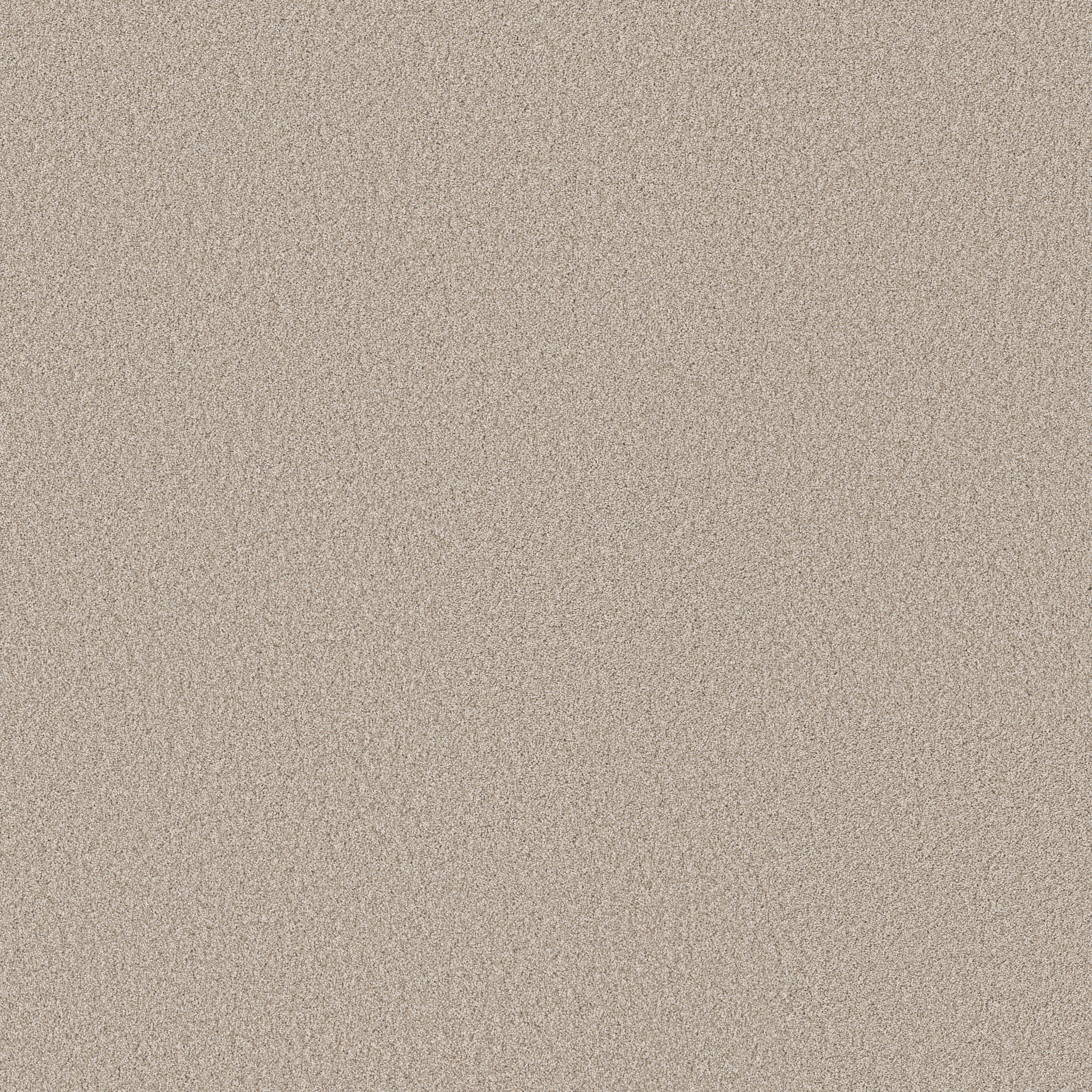 Pure Affection T - Beige Mist Carpet | Shaw Floors
