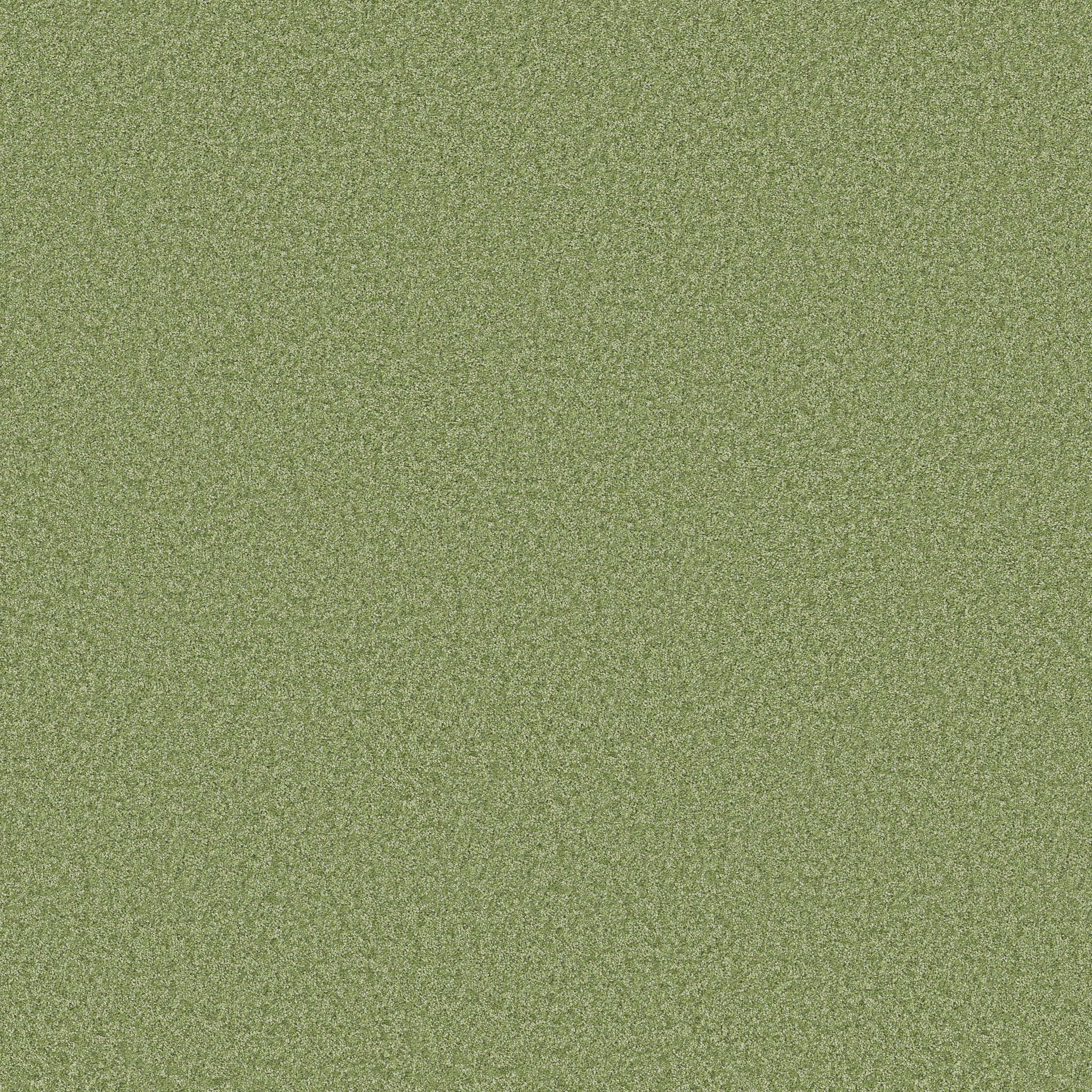 The Bright Side - Four Leaf Clover Carpet | Shaw Floors