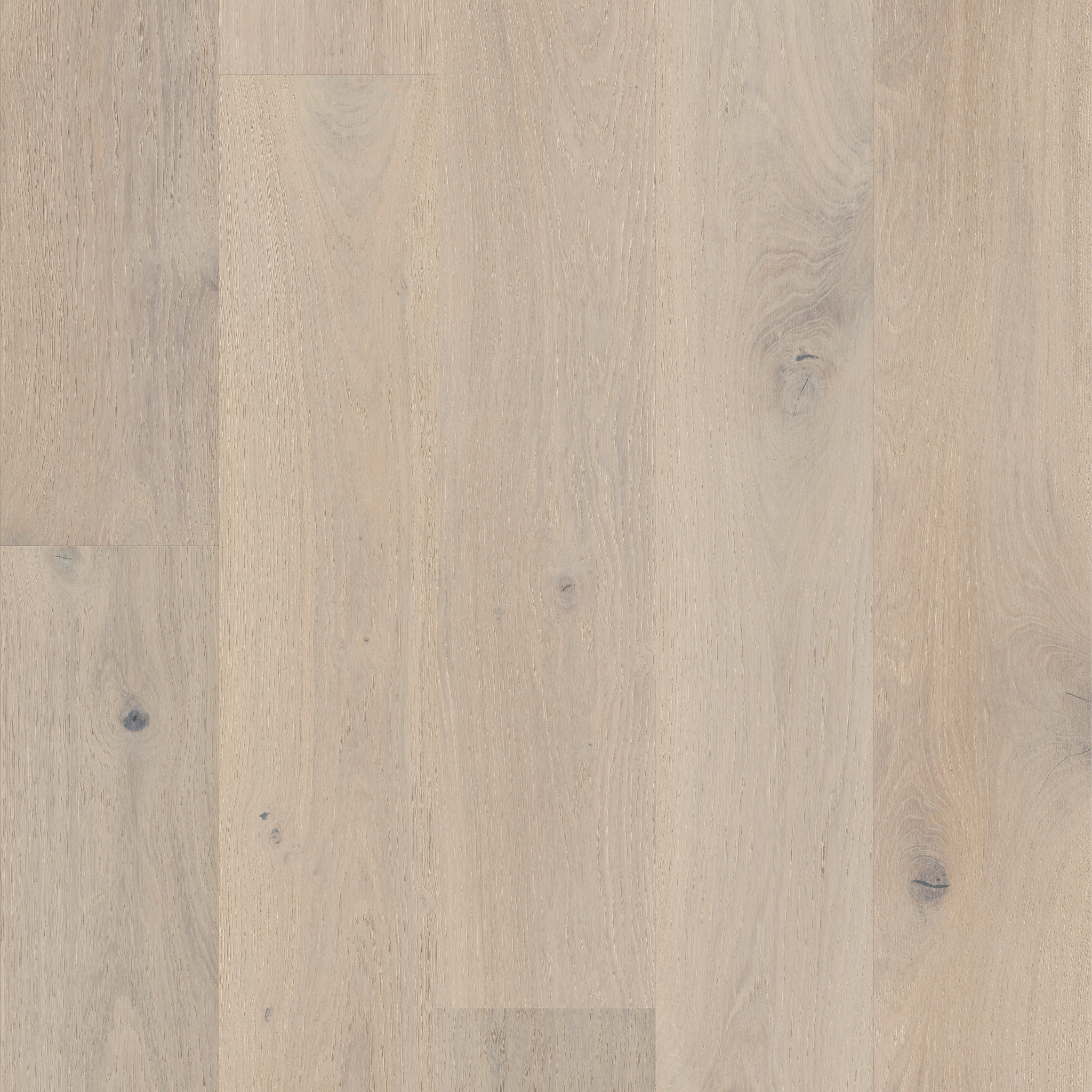 Chateau Oak - Wire Brushed Hardwoods Flooring in Gable | AndersonTuftex