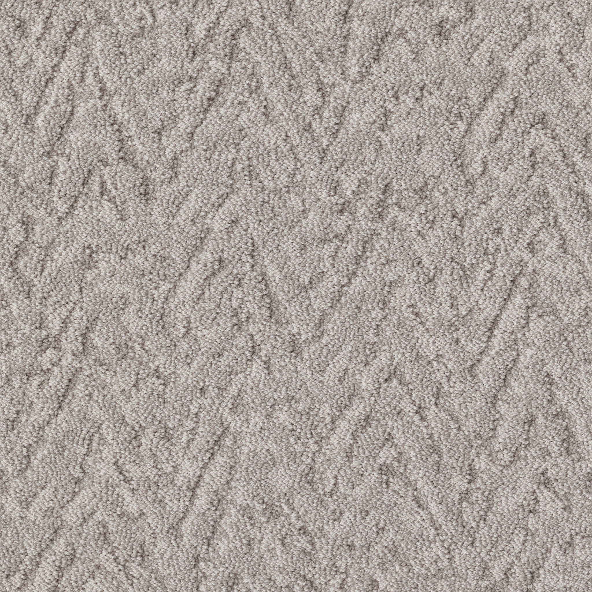 Lavish Living - Cold Winter Carpet | Shaw Floors