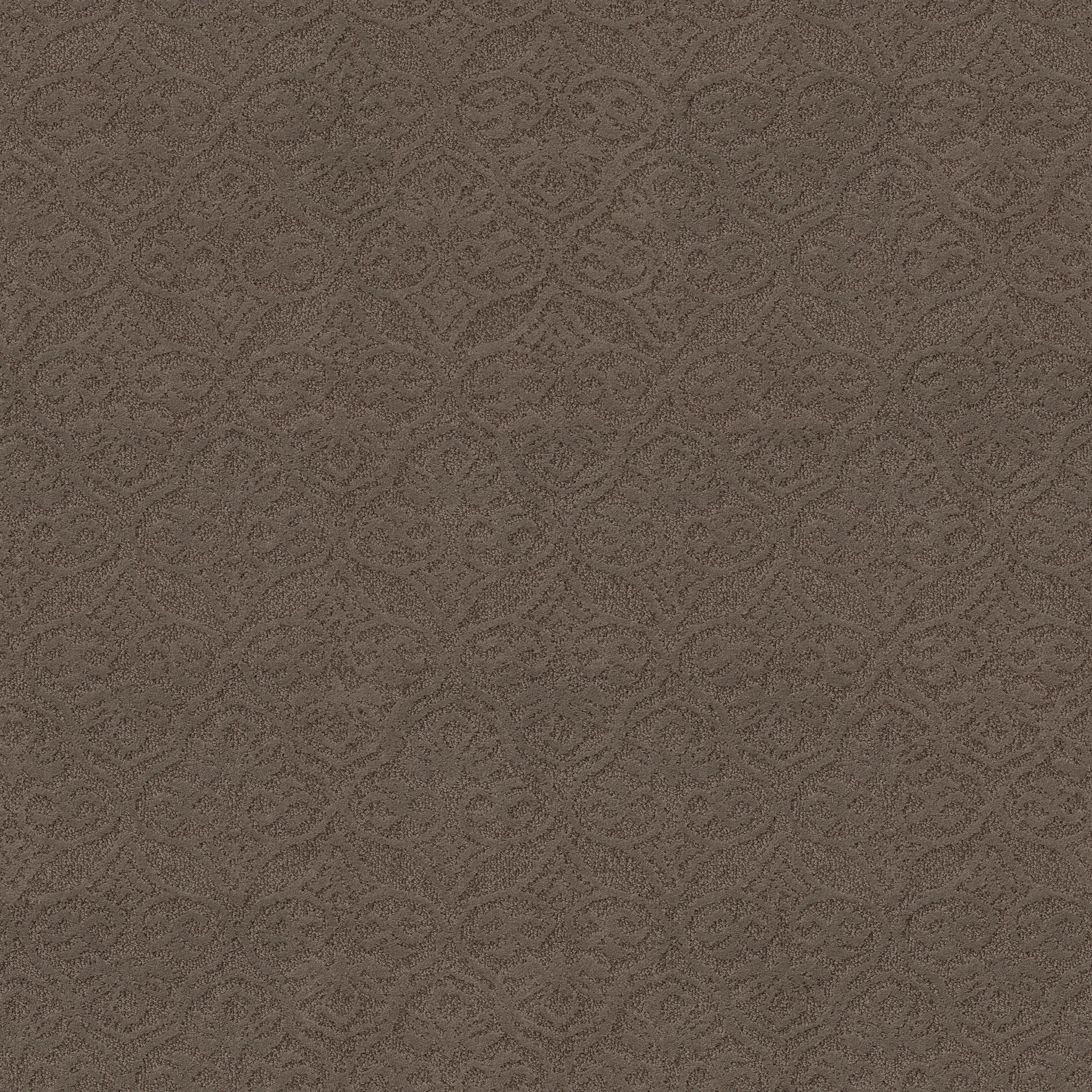 Modern Amenities - Chinchilla Carpet | Shaw Floors