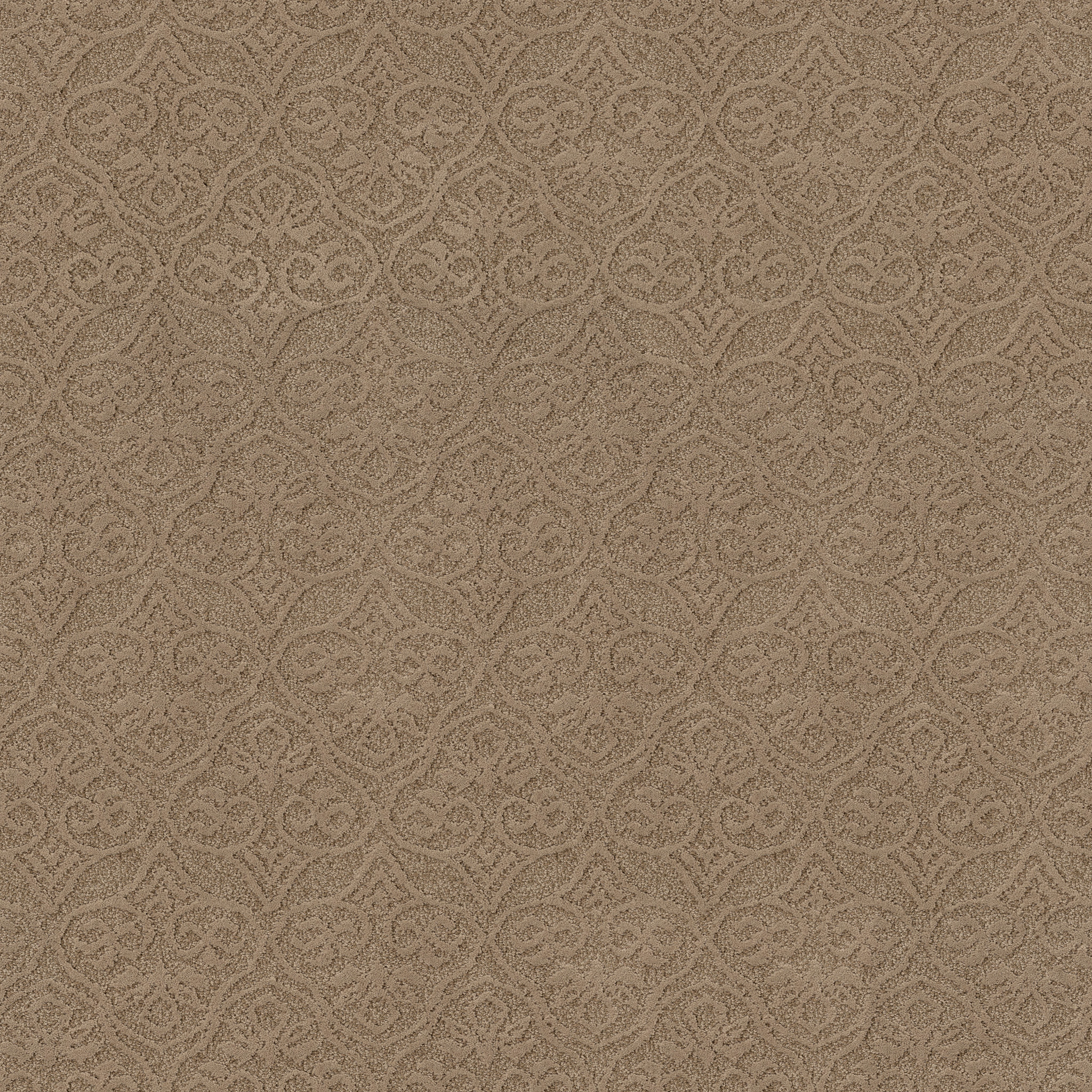 Modern Amenities - White Pine Carpet | Shaw Floors