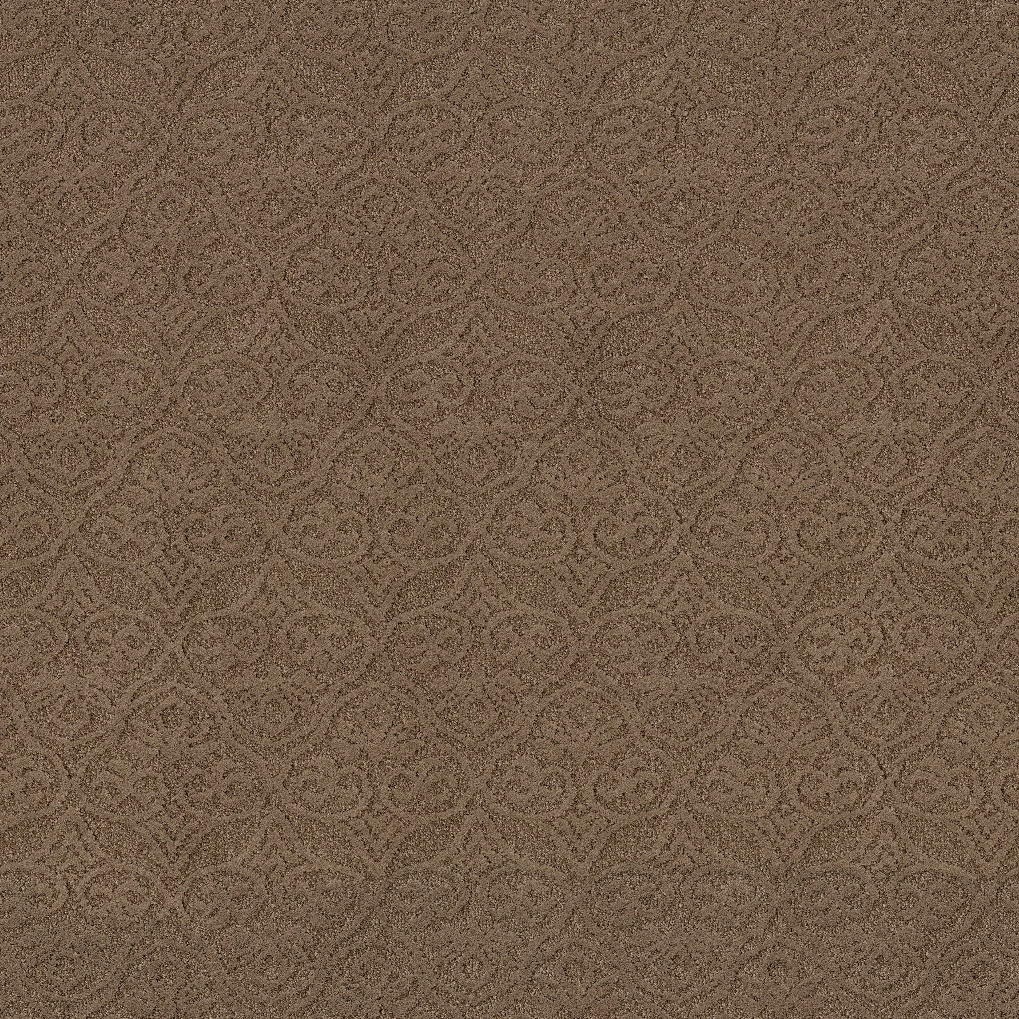 Modern Amenities - Pebble Path Carpet | Shaw Floors