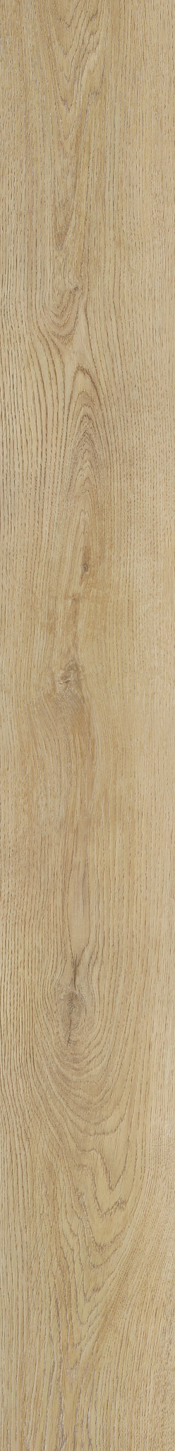 COREtec Originals - Saddle Oak