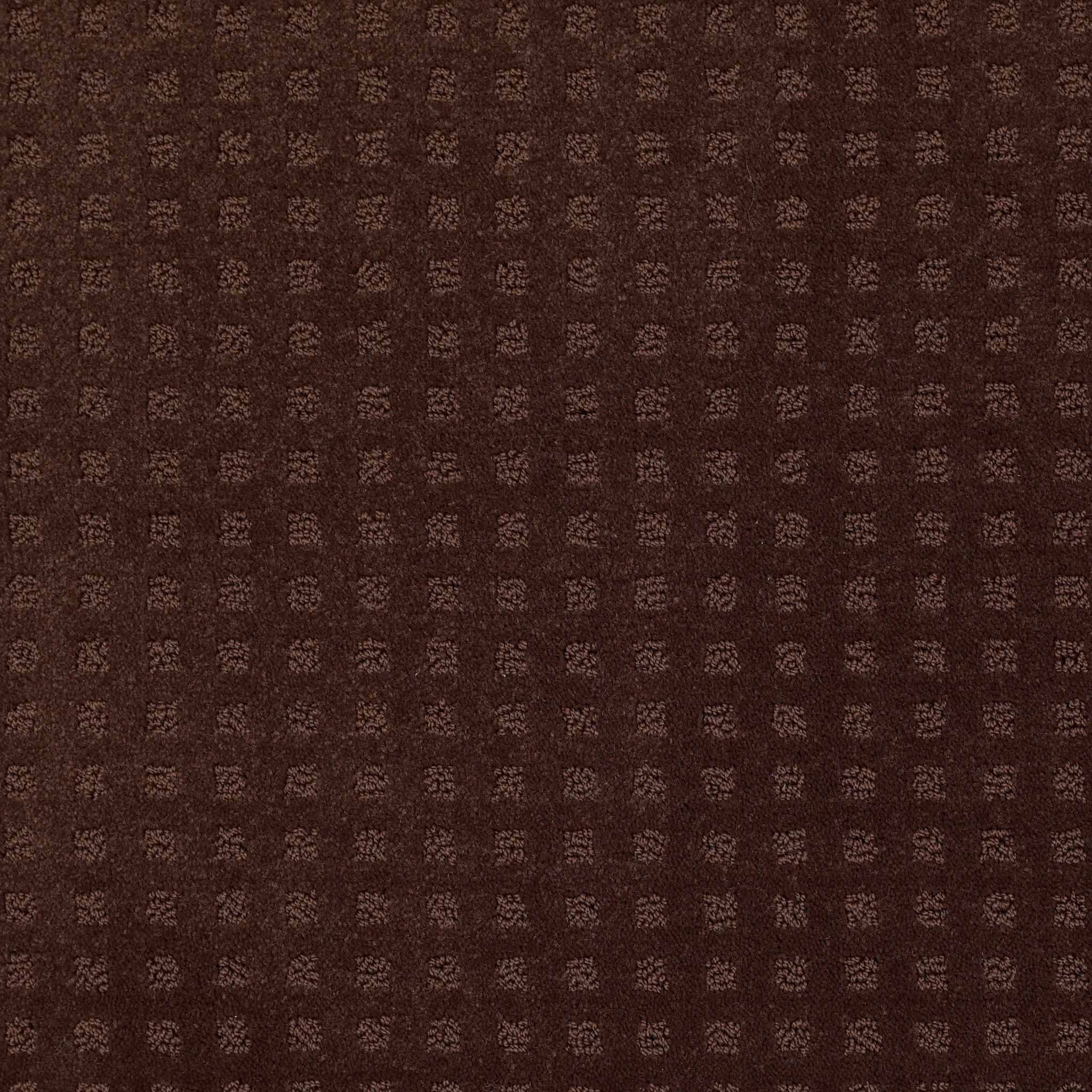 Nottingham - Tree Bark Carpet | Shaw Floors