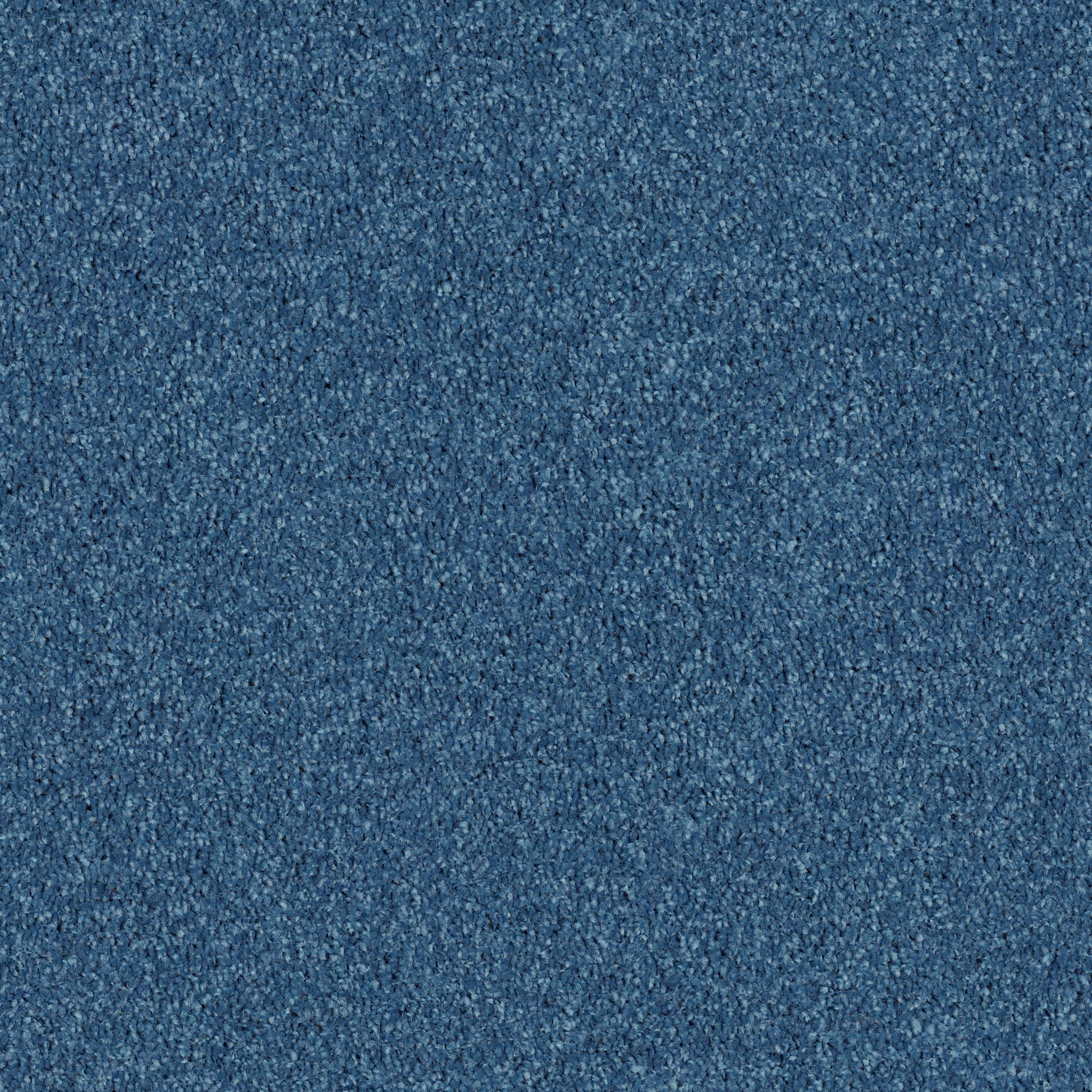 All Star Weekend Ii 12' - Indigo Carpet | Shaw Floors