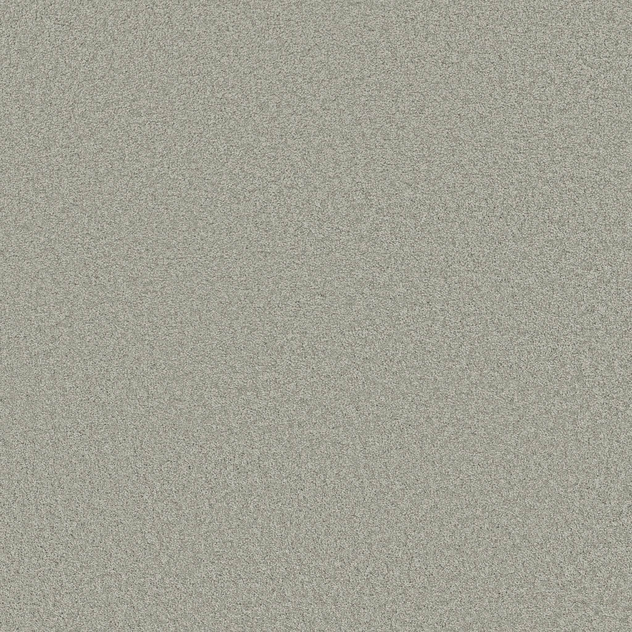 Enduring Comfort Iii - Sheer Silver Carpet | Shaw Floors