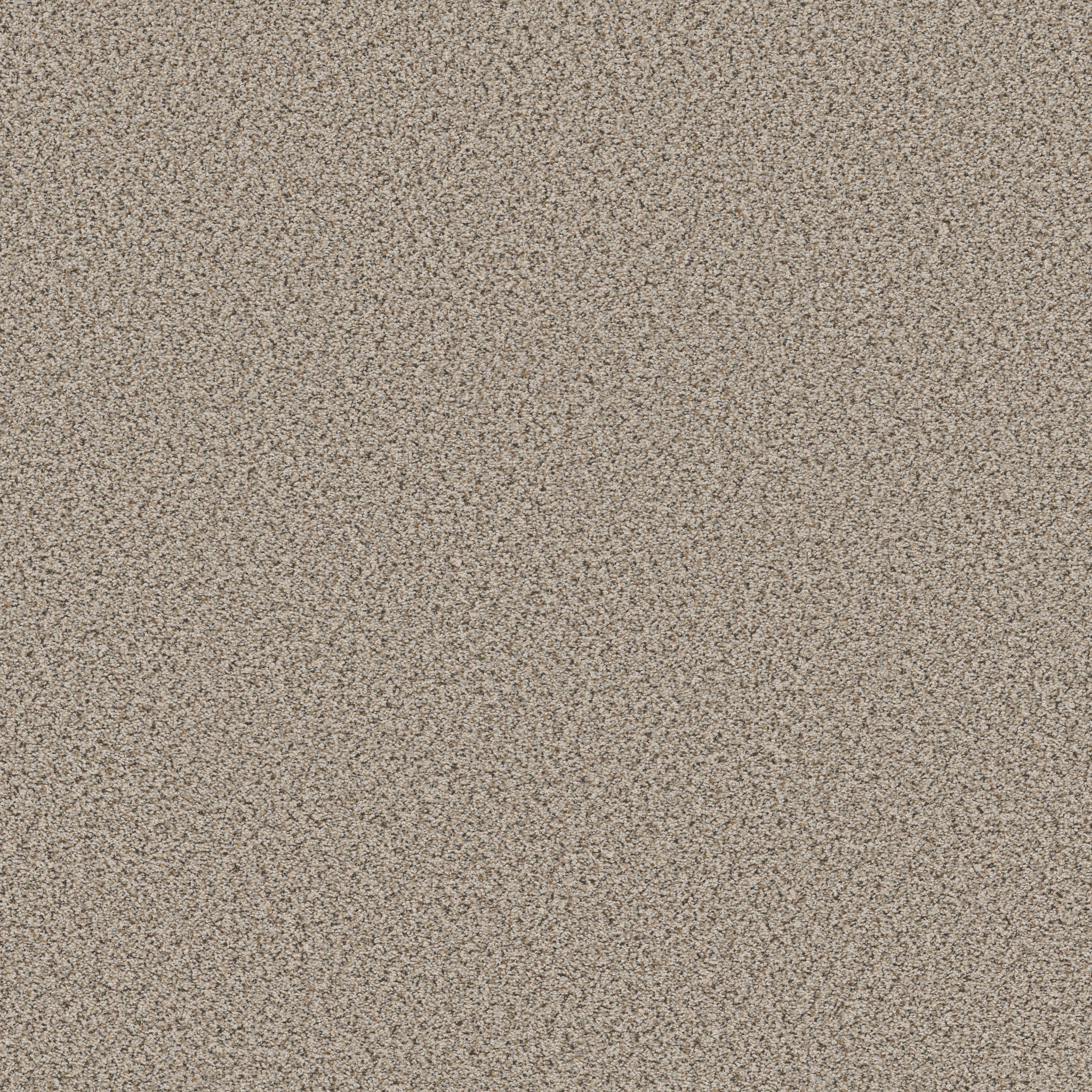 Elemental Mix Ii - Horizon Carpet | Shaw Floors