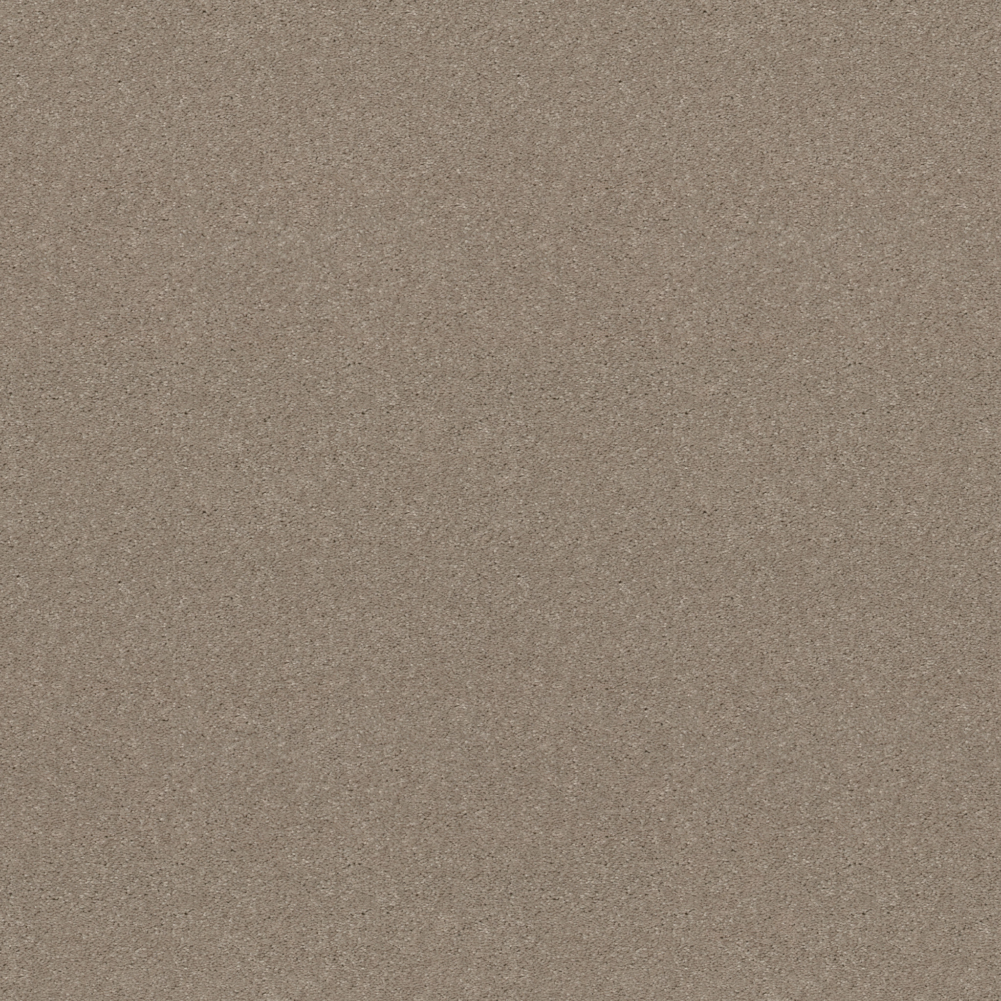 Attainable - Pebble Path Carpet | Shaw Floors