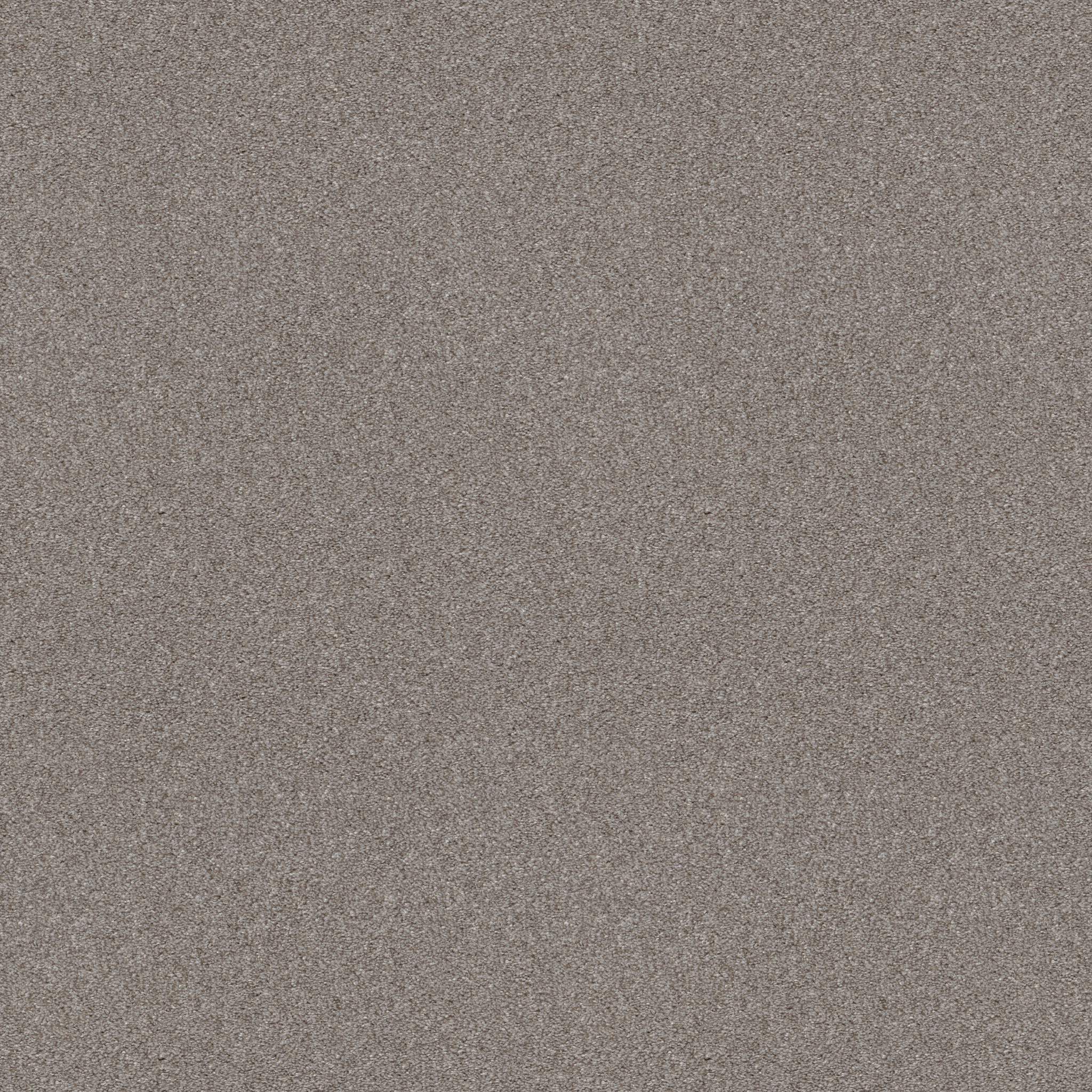 Attainable - Clay Carpet | Shaw Floors