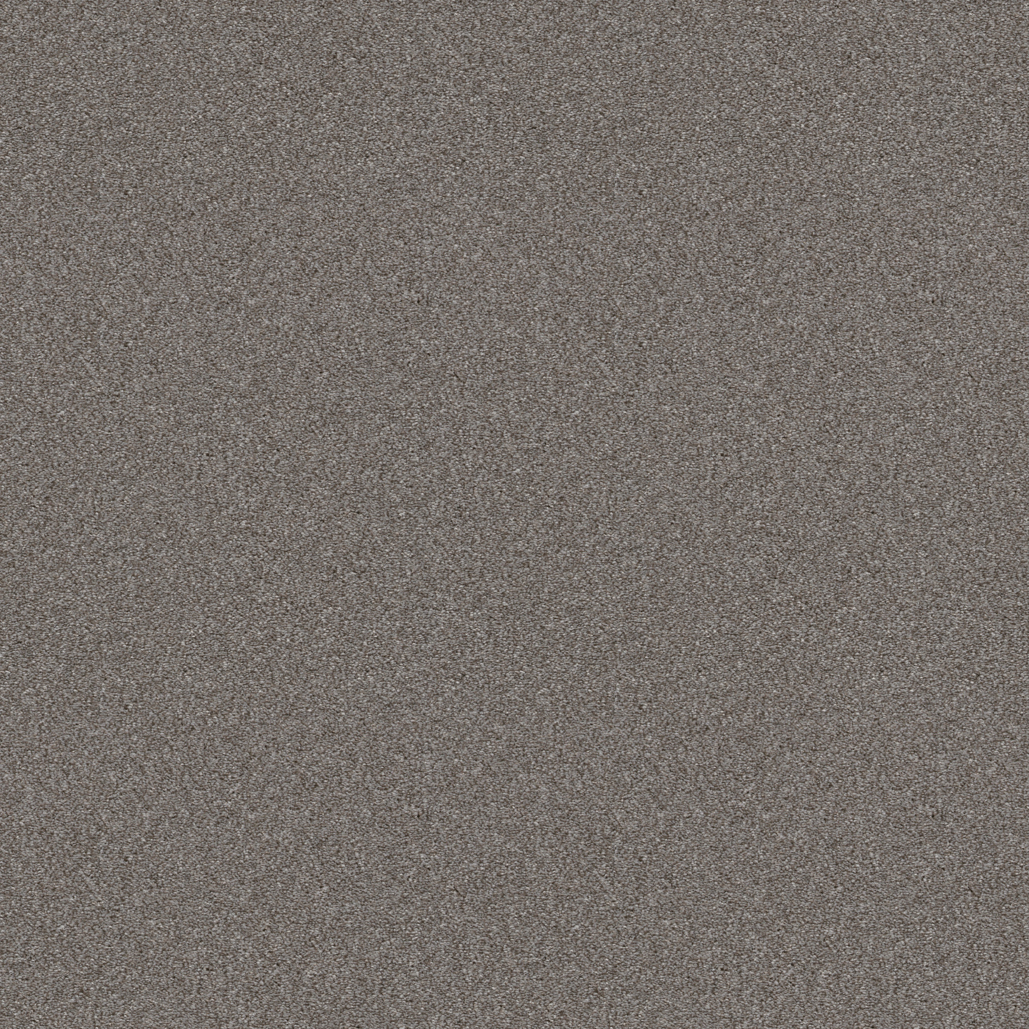 Attainable - Arctic Shadow Carpet | Shaw Floors