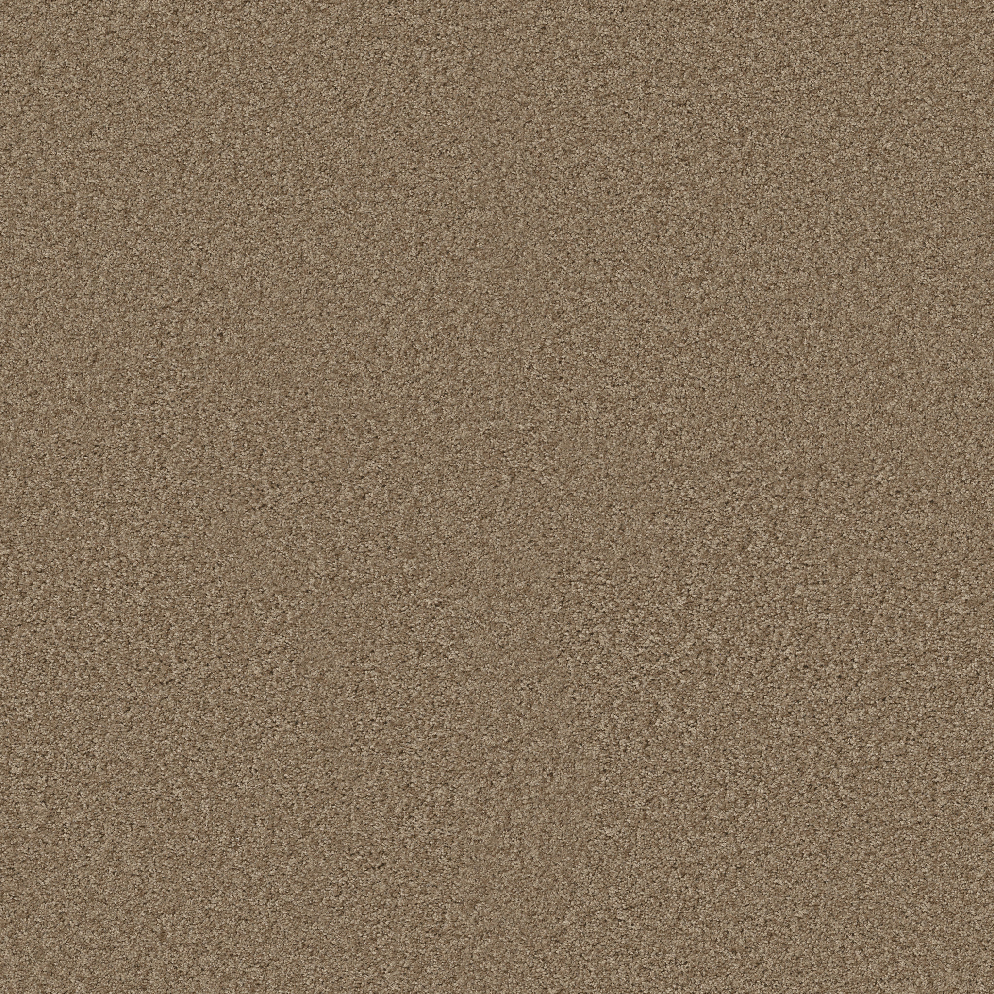 Ocean Pines 12' - Ridgecrest Carpet | Shaw Floors