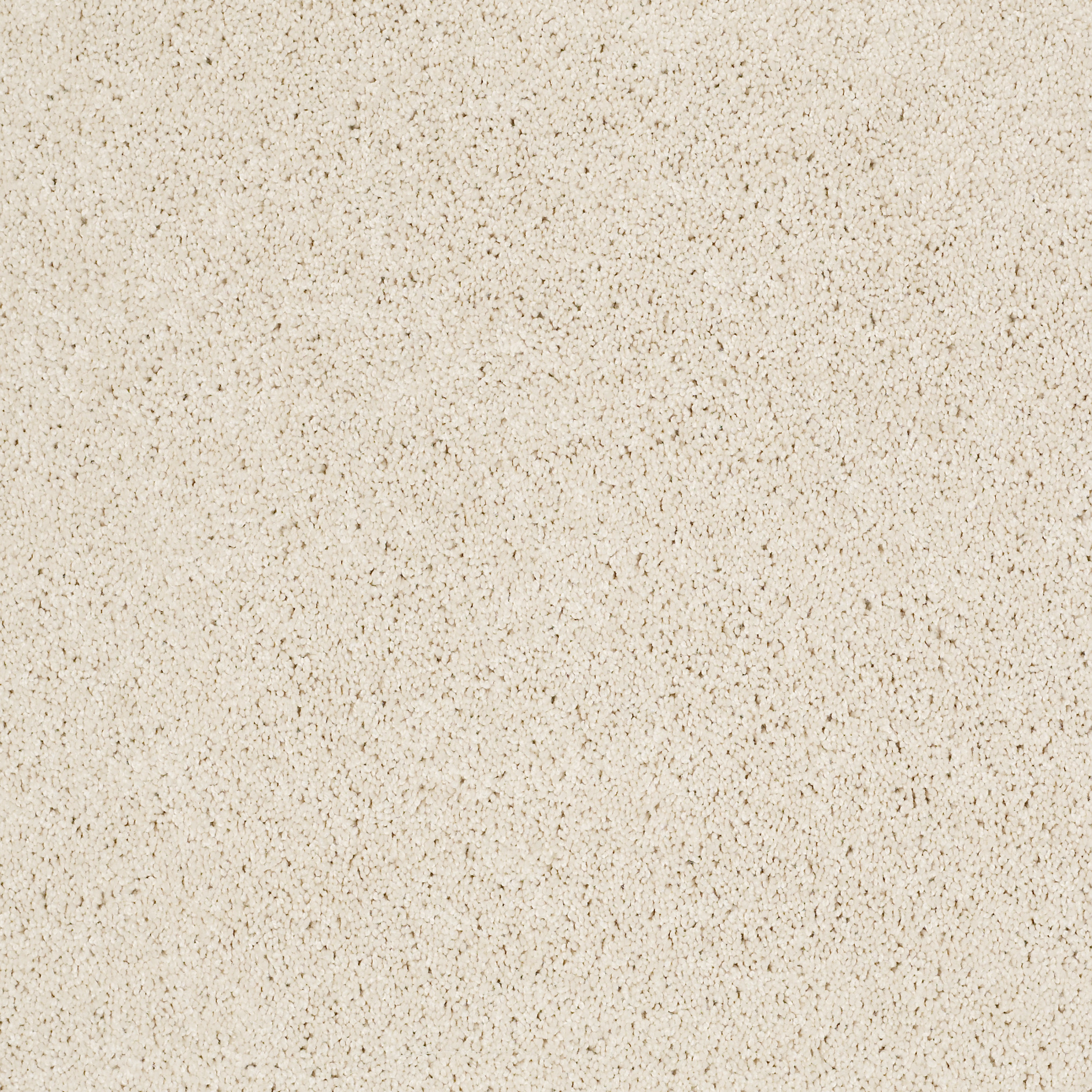 Loyal Beauty Ii - China Pearl Carpet | Shaw Floors