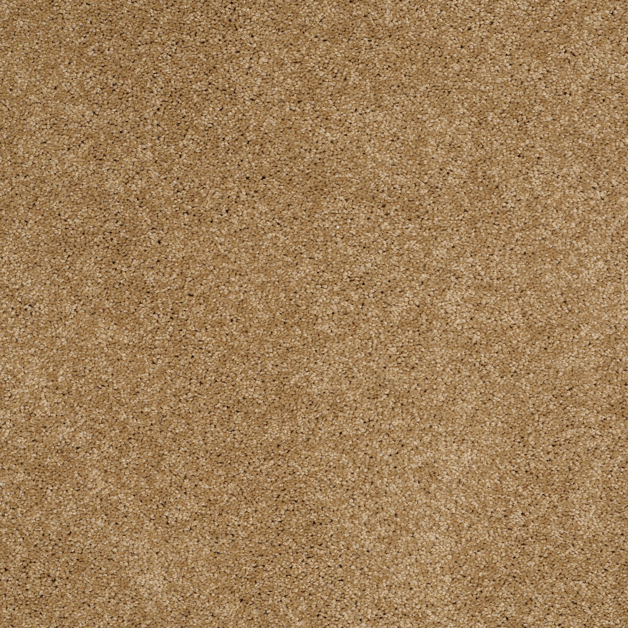 Loyal Beauty Ii - Honey Pot Carpet | Shaw Floors