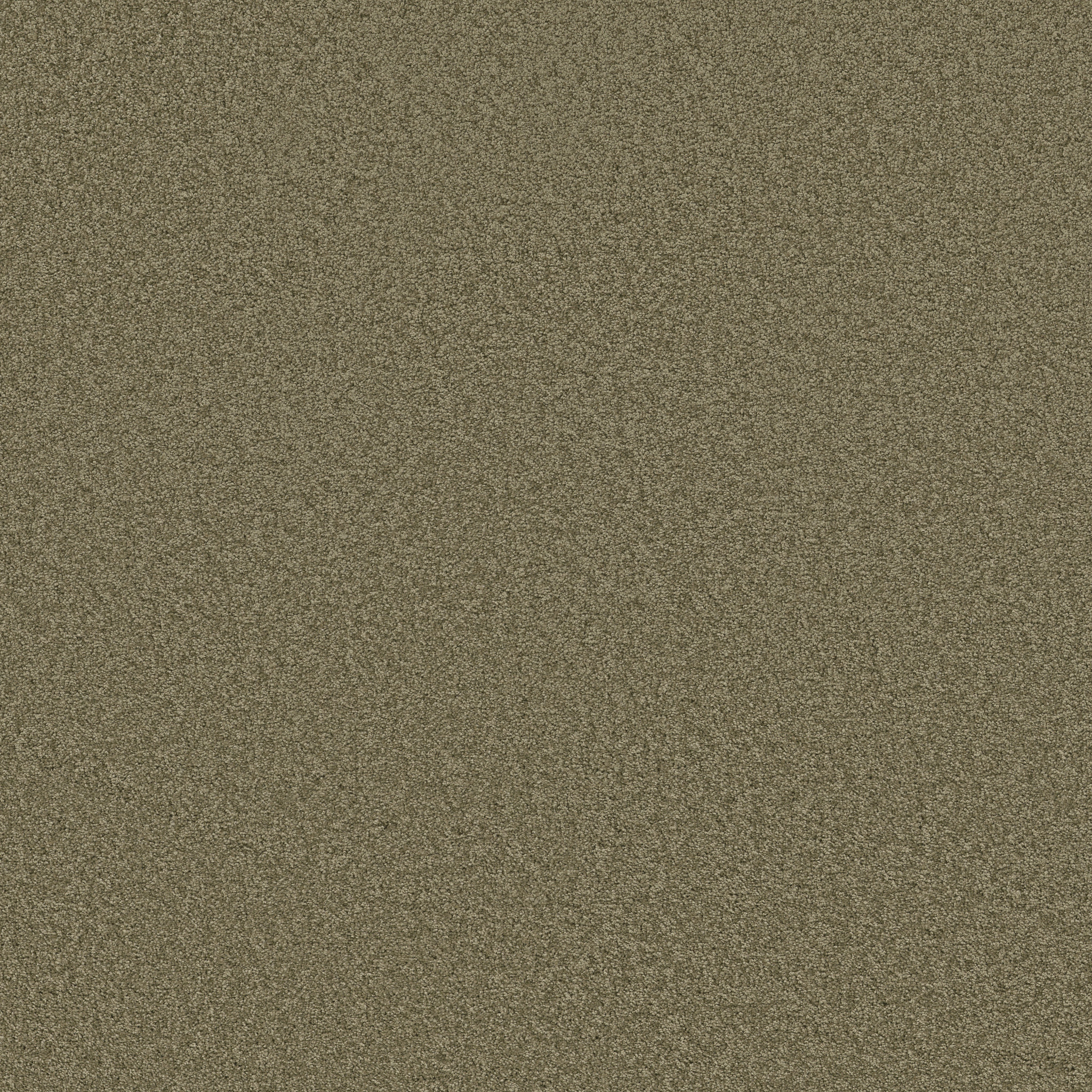 Loyal Beauty Iii - Summerhouse Carpet | Shaw Floors