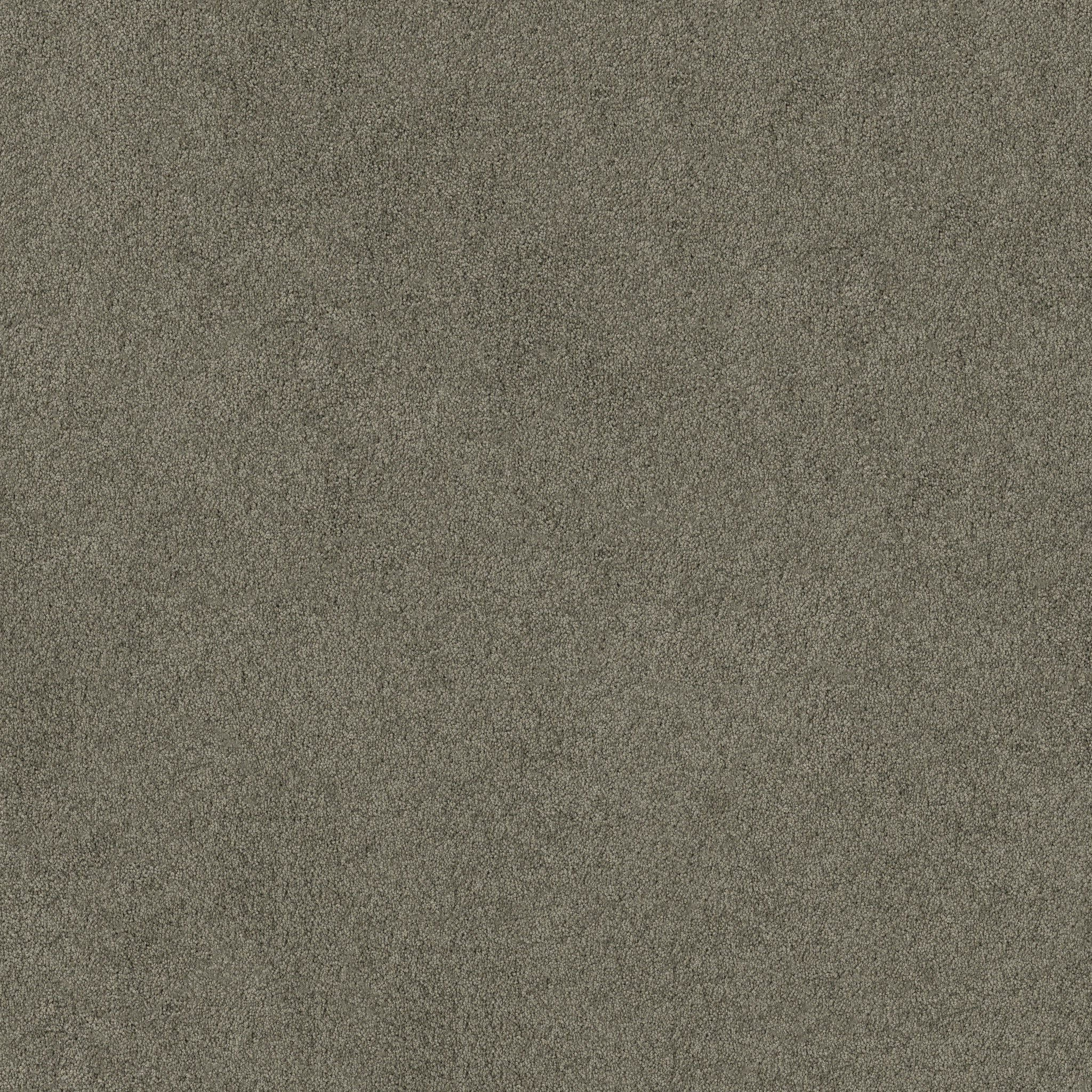 Source - Pewter Carpet | Shaw Floors