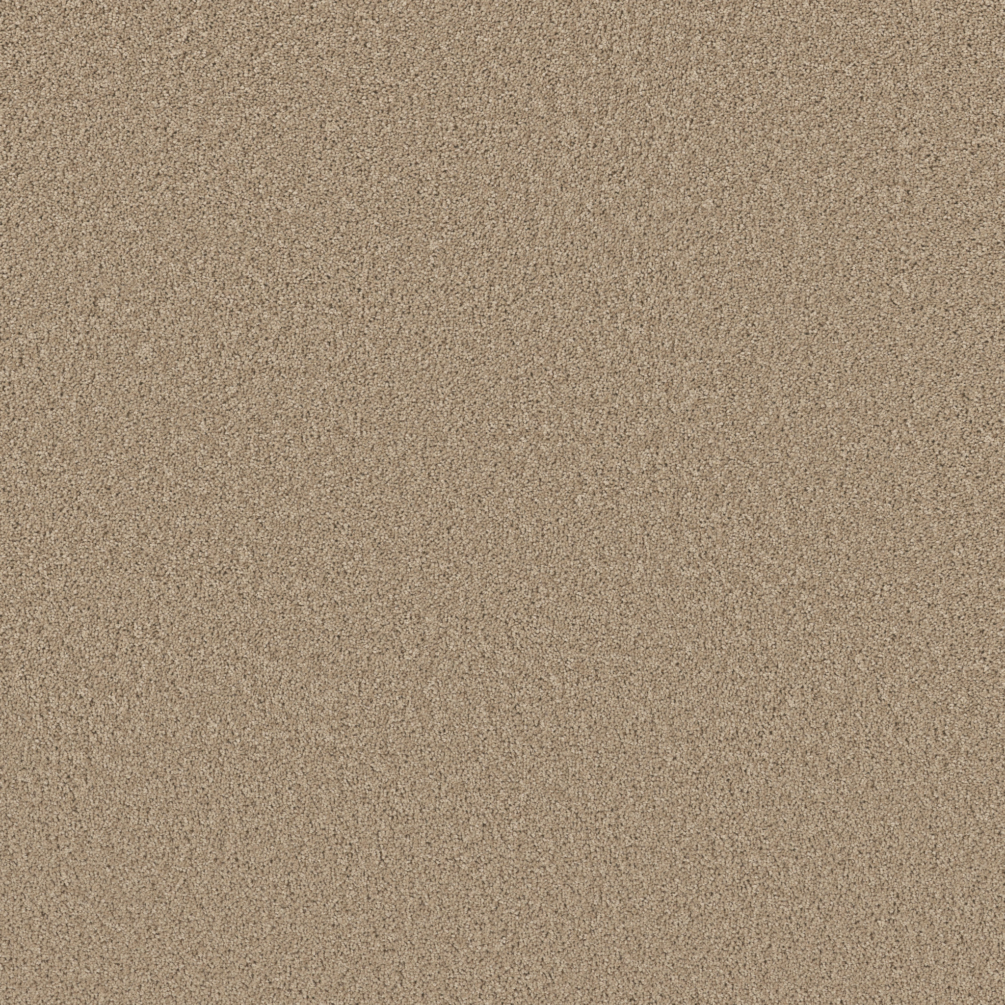 Legacy Acres HFN45 00110 | Shaw Builder Flooring