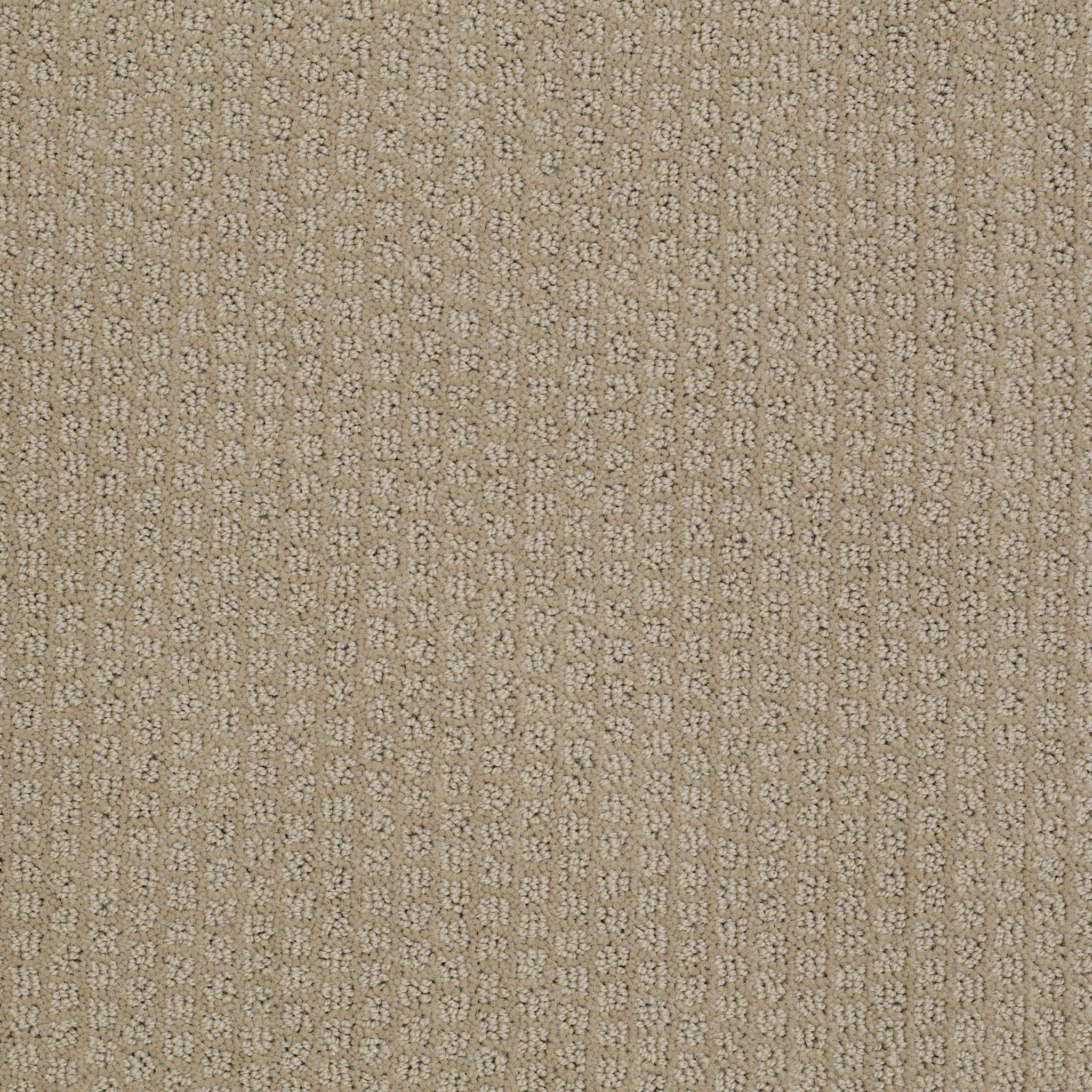 sterling_springs - hiking_trail | carpets | hgp04-00753 | Shaw Builder ...