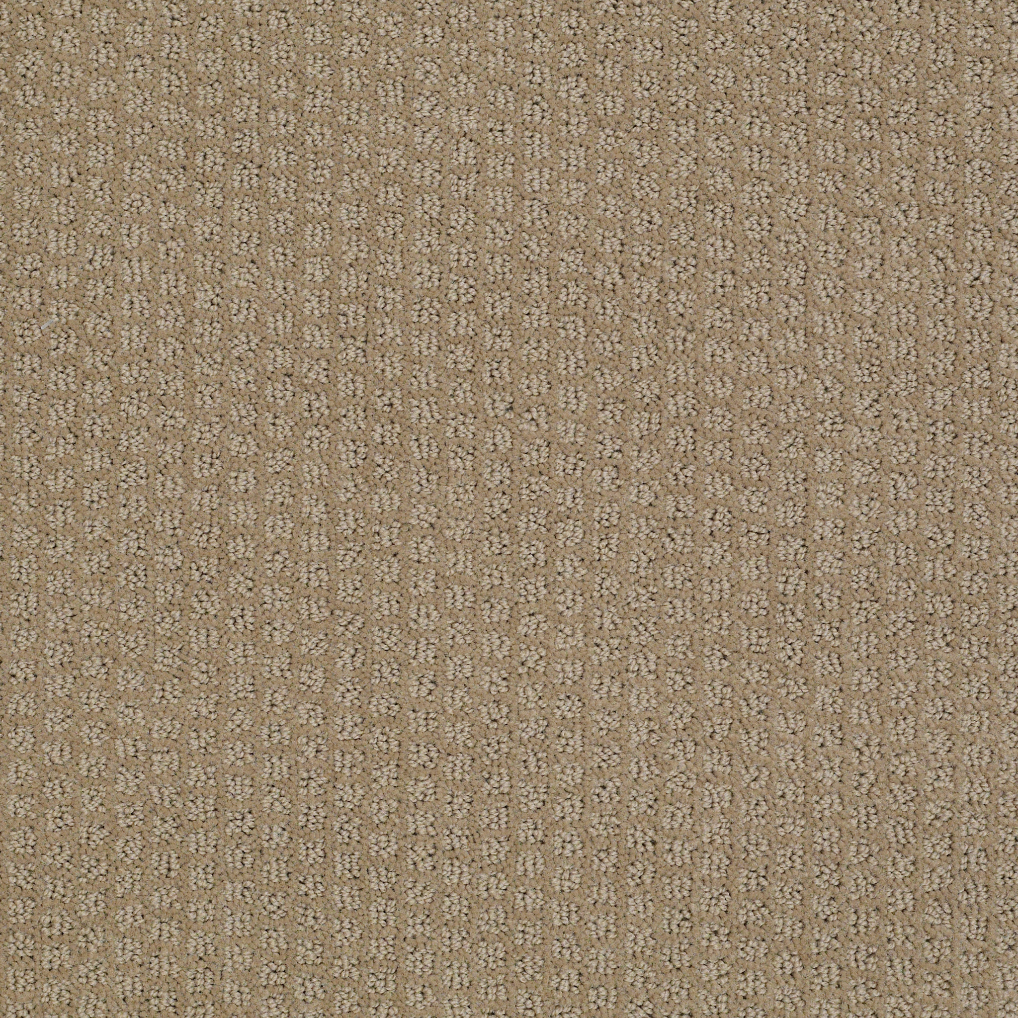 sterling_springs - sable | carpets | hgp04-00754 | Shaw Builder Flooring
