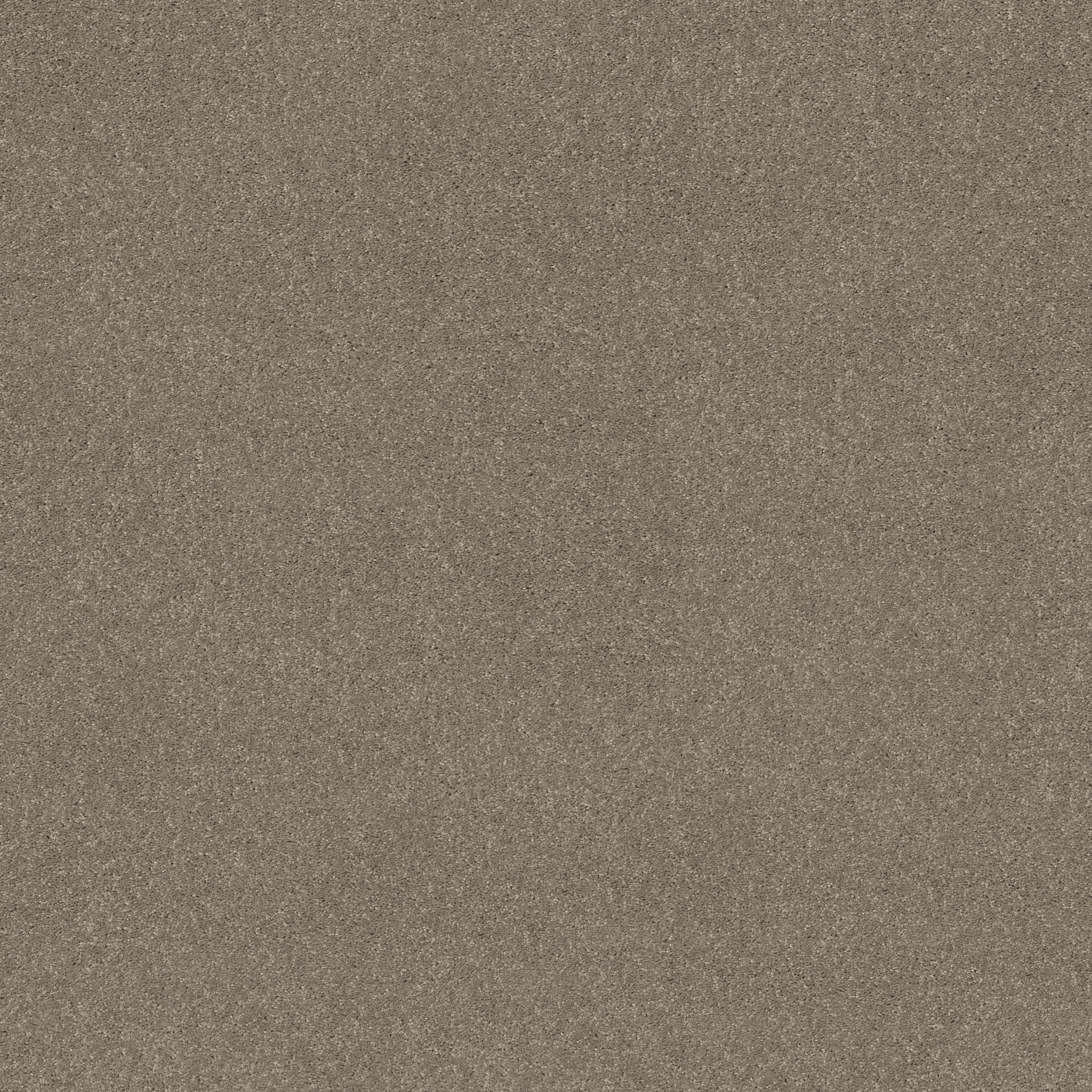 meadow vista 12 - pebble path | carpets | HGP17-00132 | Shaw Builder ...