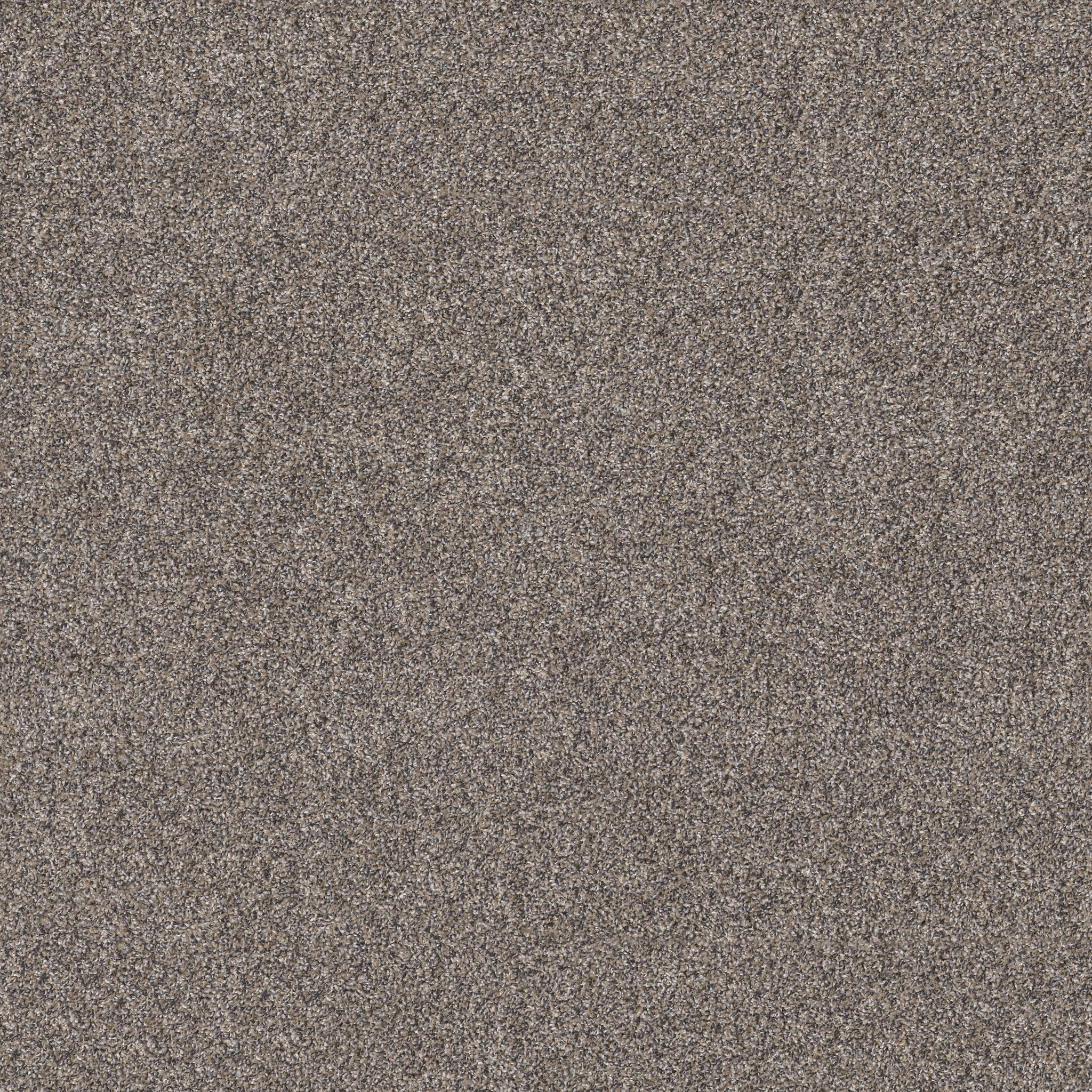 grand isle - burnt ash | carpets | HGP58-00500 | Shaw Builder Flooring