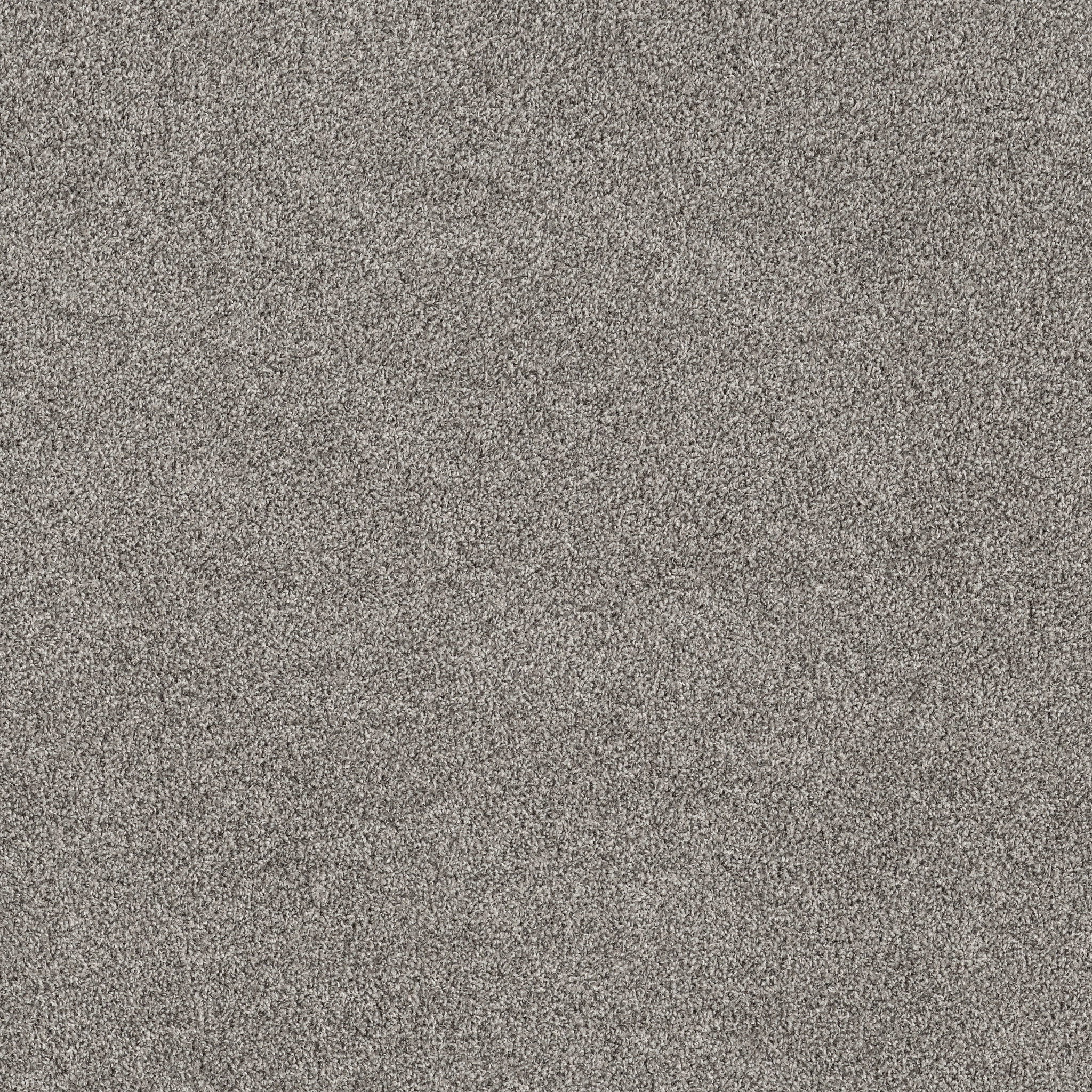 grand isle - london fog | carpets | HGP58-00509 | Shaw Builder Flooring