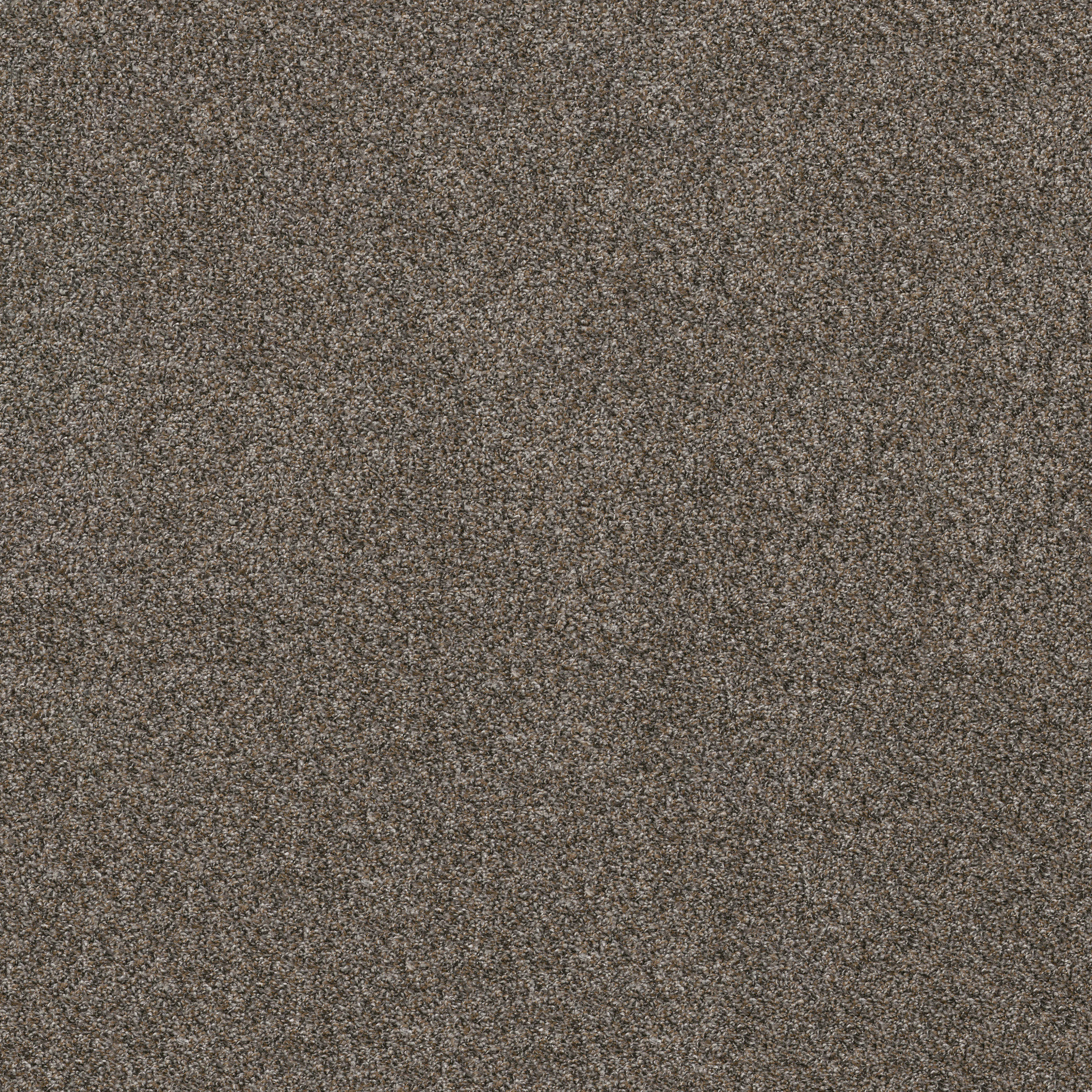 grand isle - tree bark | carpets | HGP58-00706 | Shaw Builder Flooring