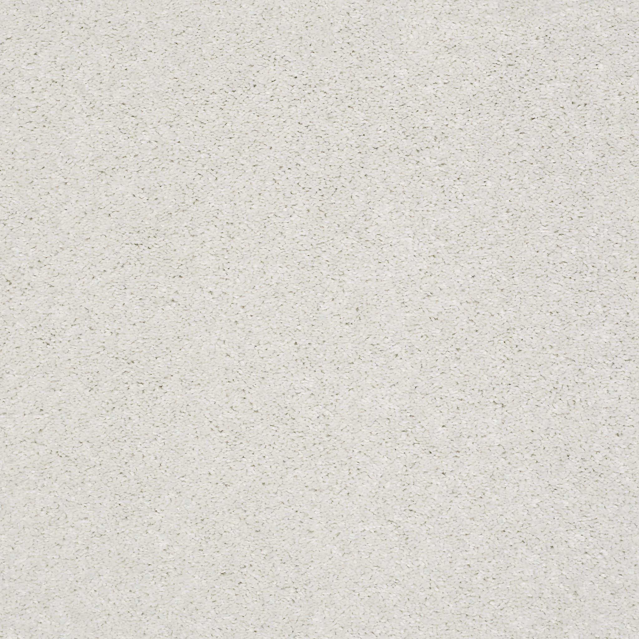 fletcher hall - sugar cookie | carpets | HGP82-00121 | Shaw Builder ...