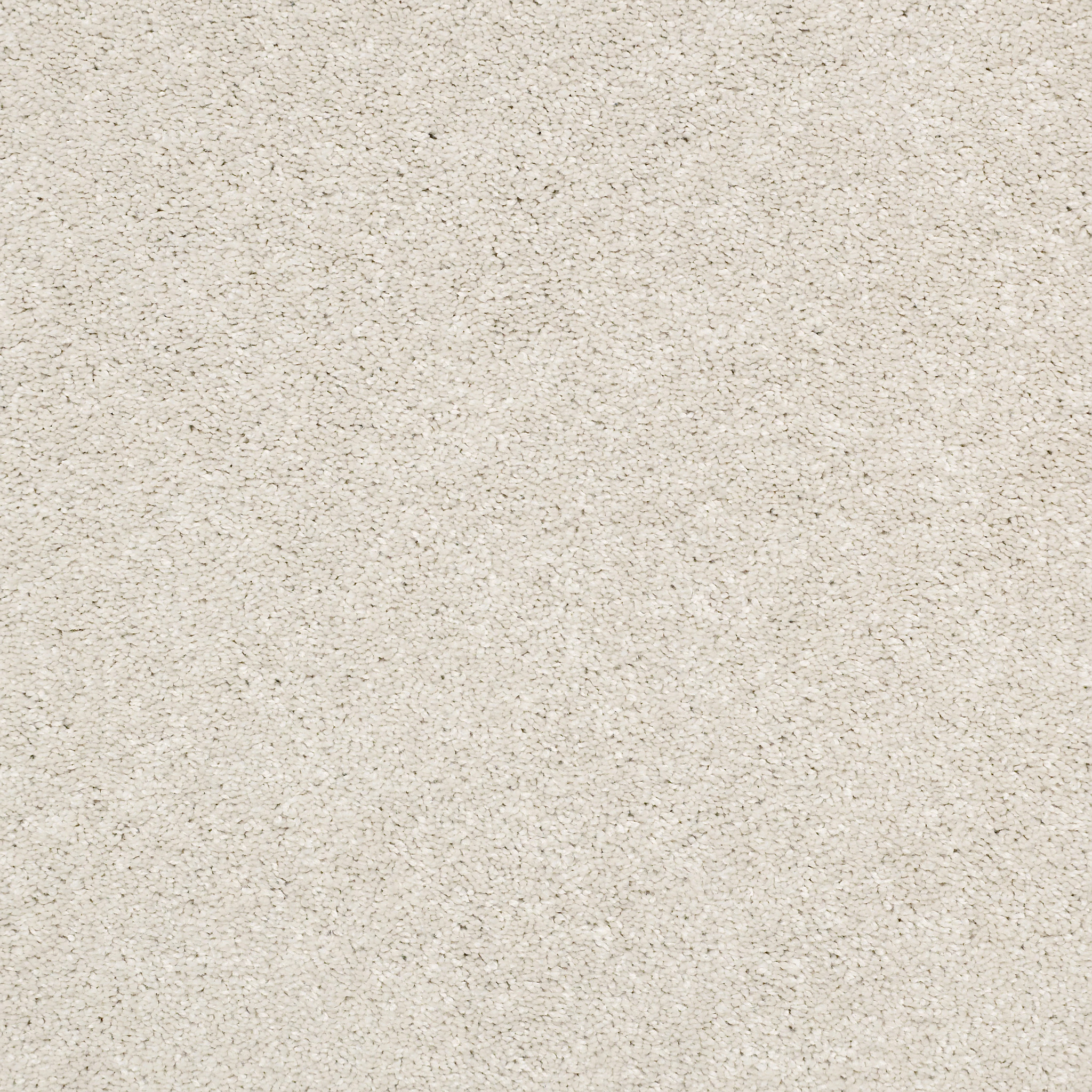 fletcher hall - candle glow | carpets | HGP82-00122 | Shaw Builder Flooring